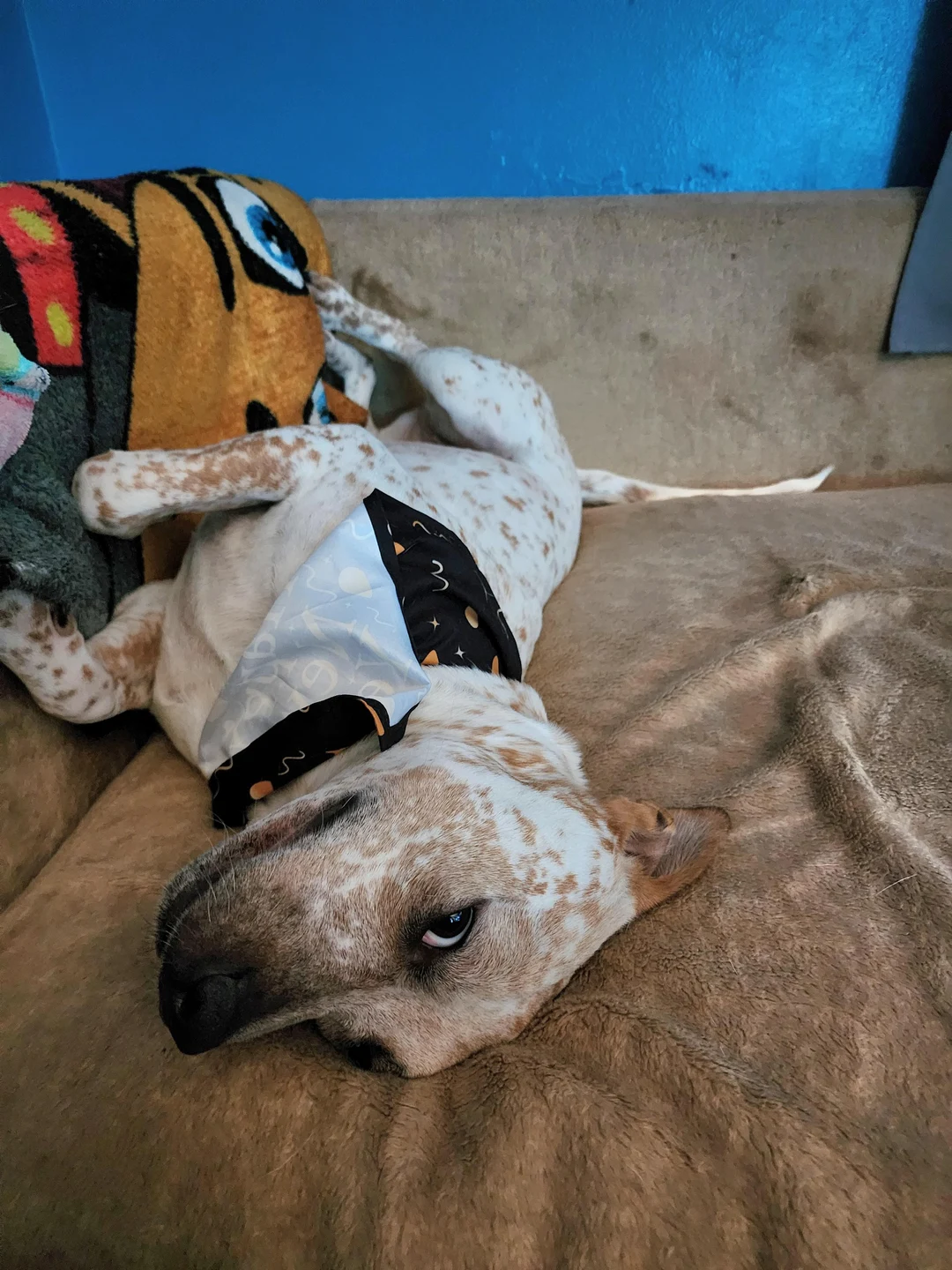 Just being a squirrel. | Scrolller