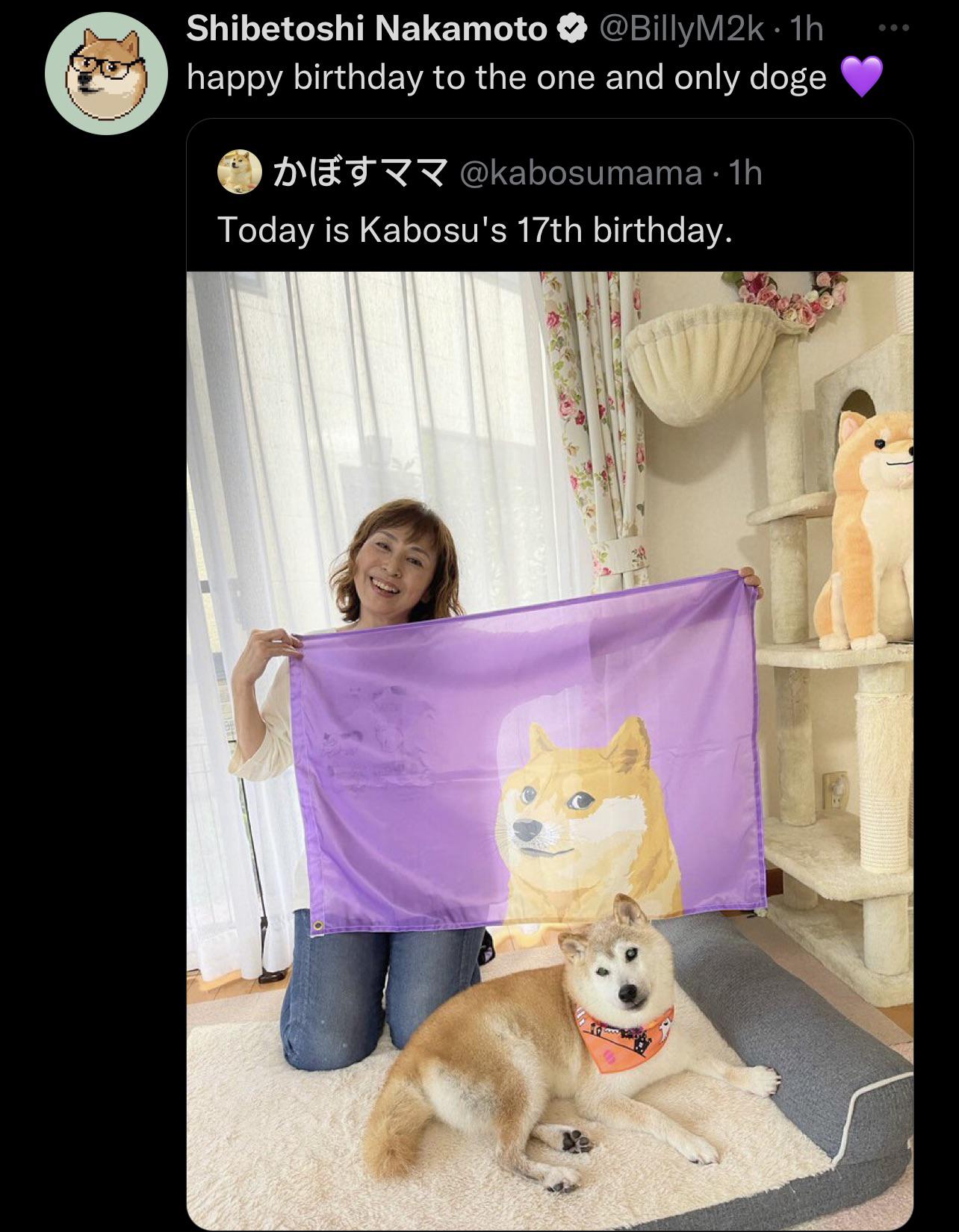 Happy birthday to the OG DOGE | Scrolller