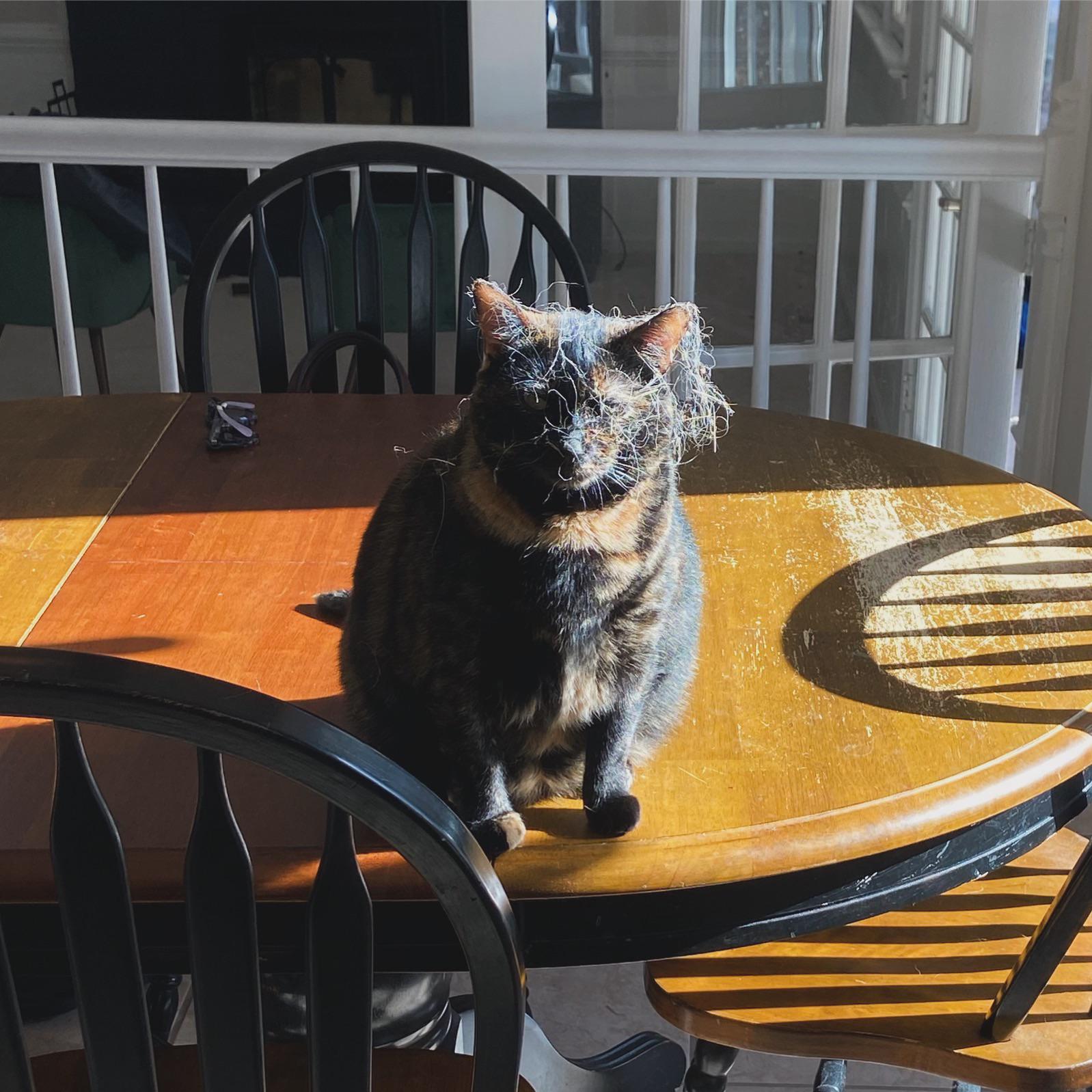 “No, I wasn’t in the garage. Why do you ask?” | Scrolller