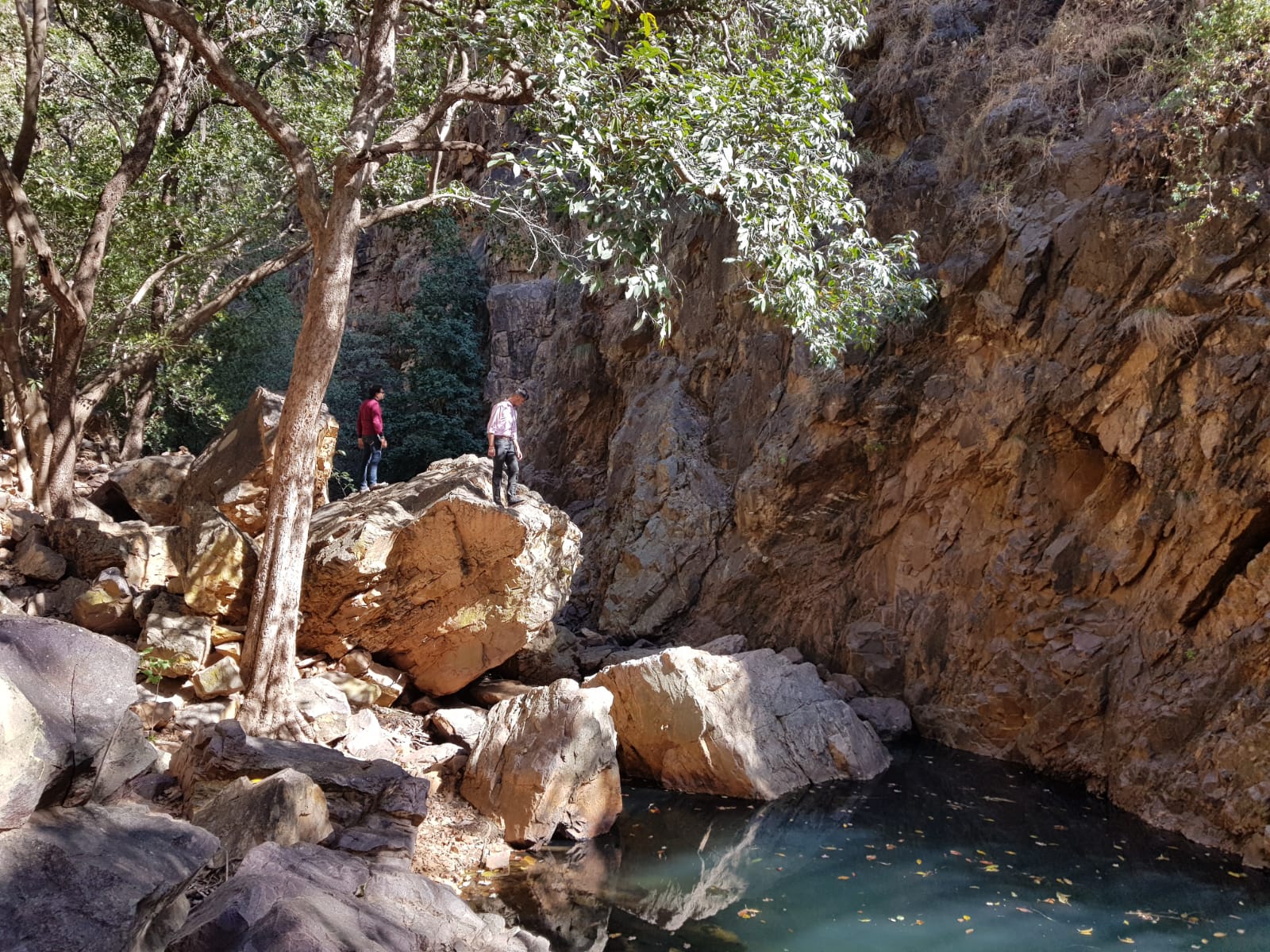 magnificent unknown forest river landscape India🇮🇳. | Scrolller