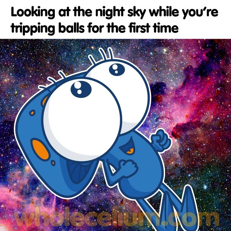Looking at the night sky while you're tripping balls for the first time. | Scrolller