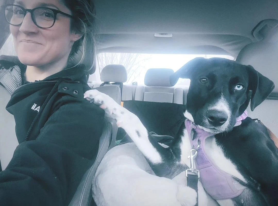 Passenger Princess 👸 ♥️ | Scrolller