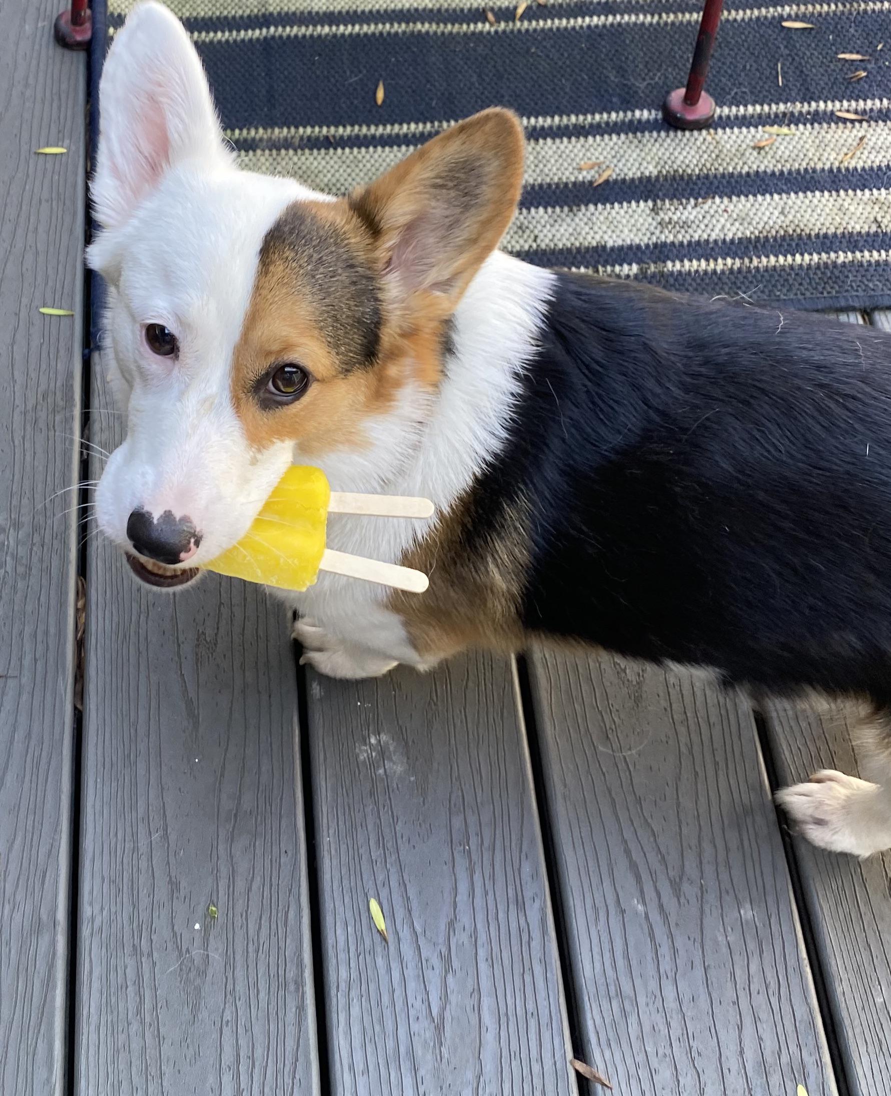 (OC) Banana 🍌 popsicles | Scrolller