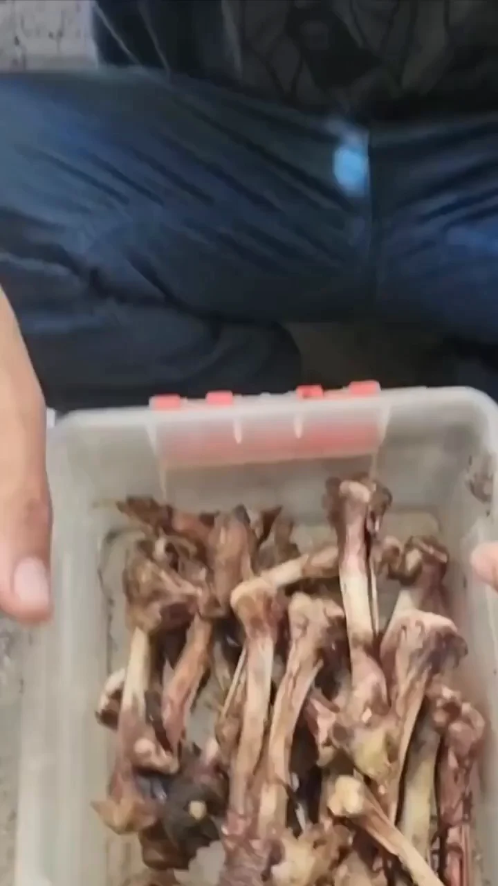 Making cat food from bones | Scrolller