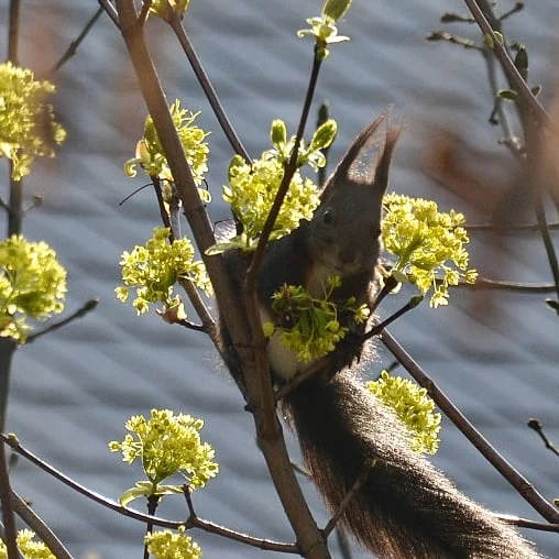 Under the evening sun | Scrolller