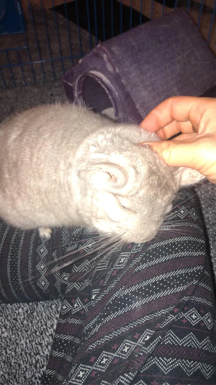 Small Poops | Scrolller