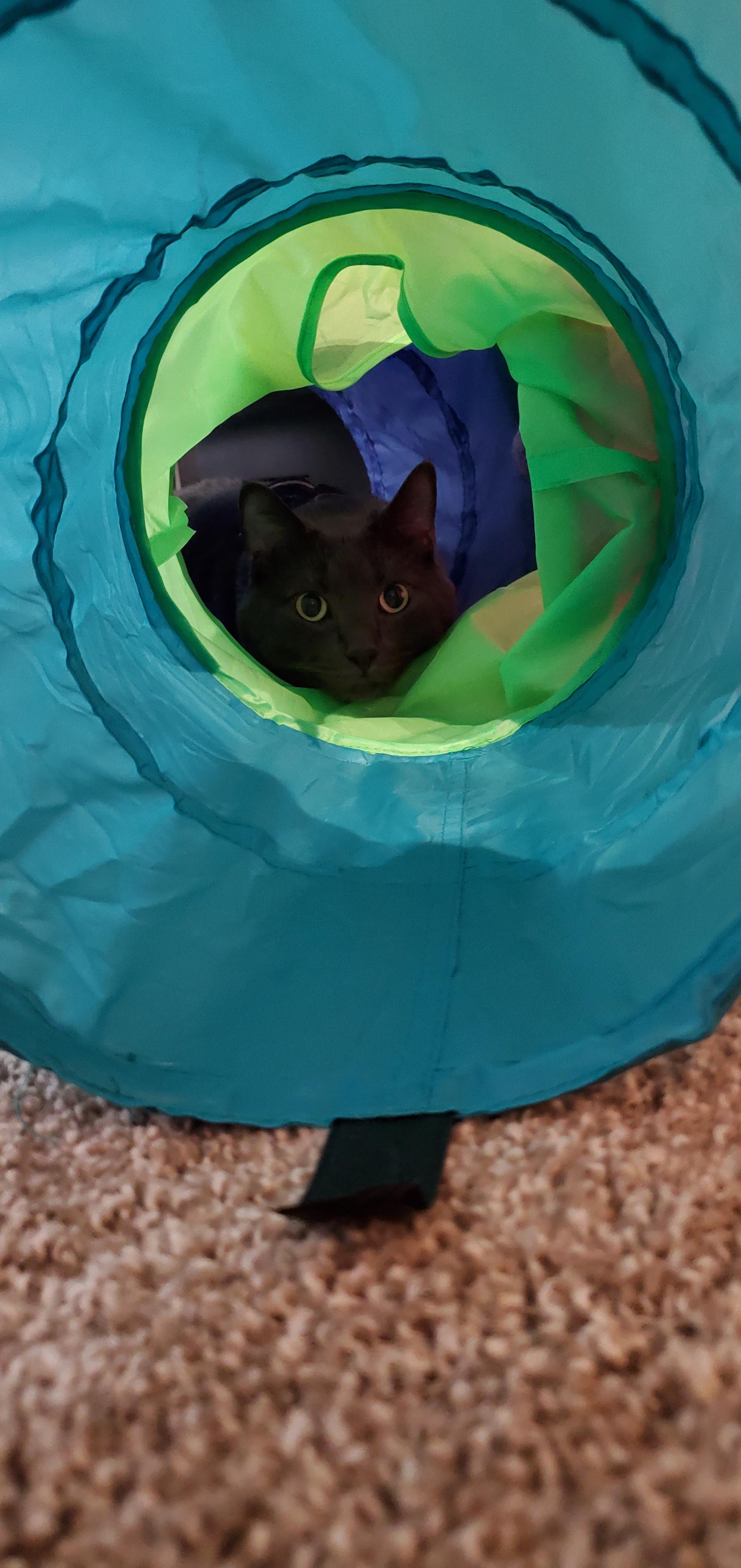 Blue and his tube of comfort. | Scrolller