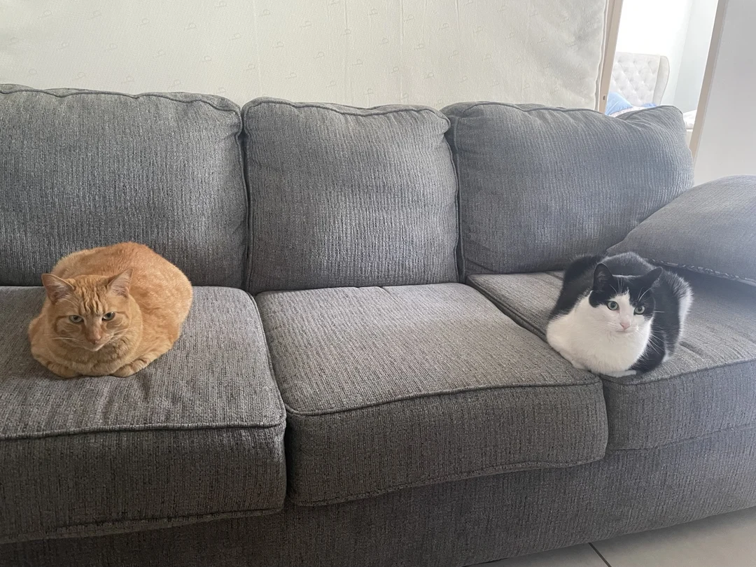 v v RARE double loaf | Scrolller