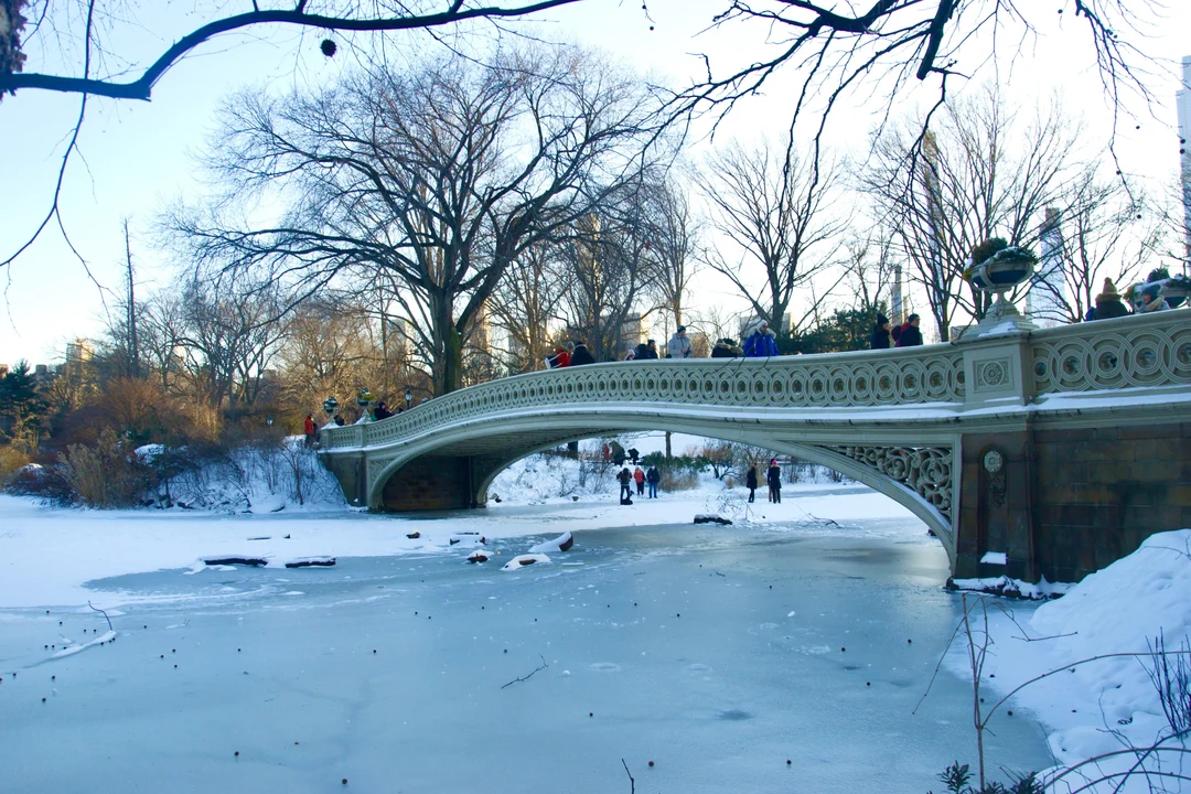 Central Park NYC | Scrolller