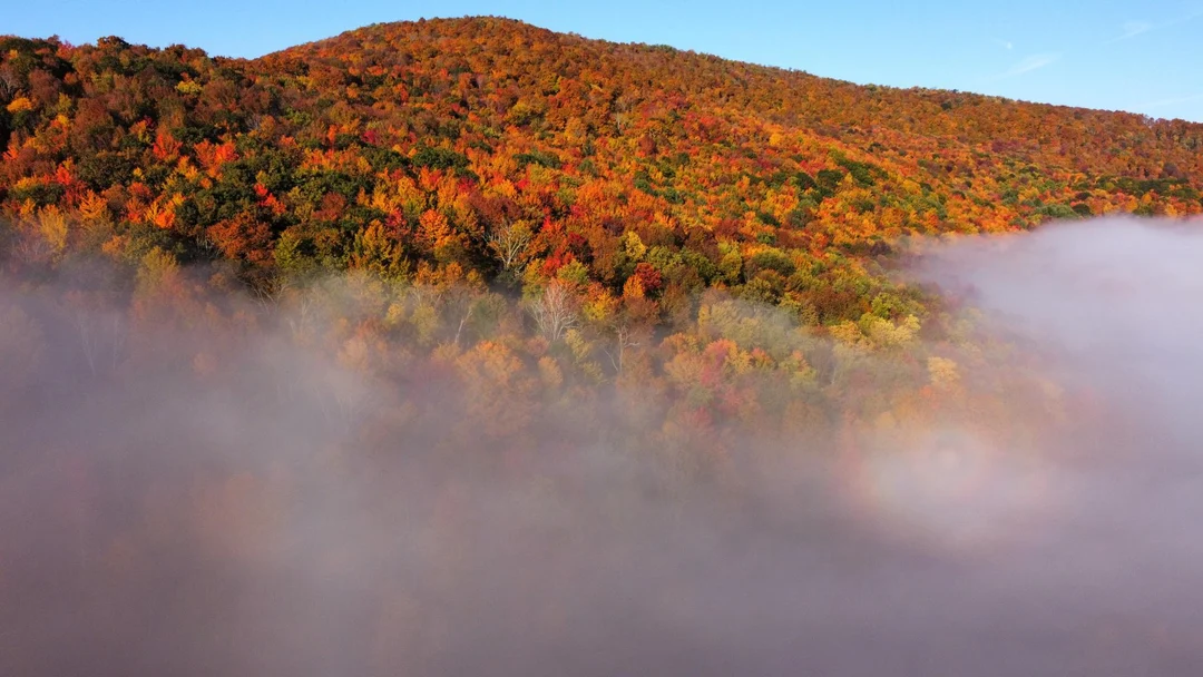 Cloud inversion and fall foliage in the Catskill Mountains, with a solar "glory" [OC] 1920x1080 ...