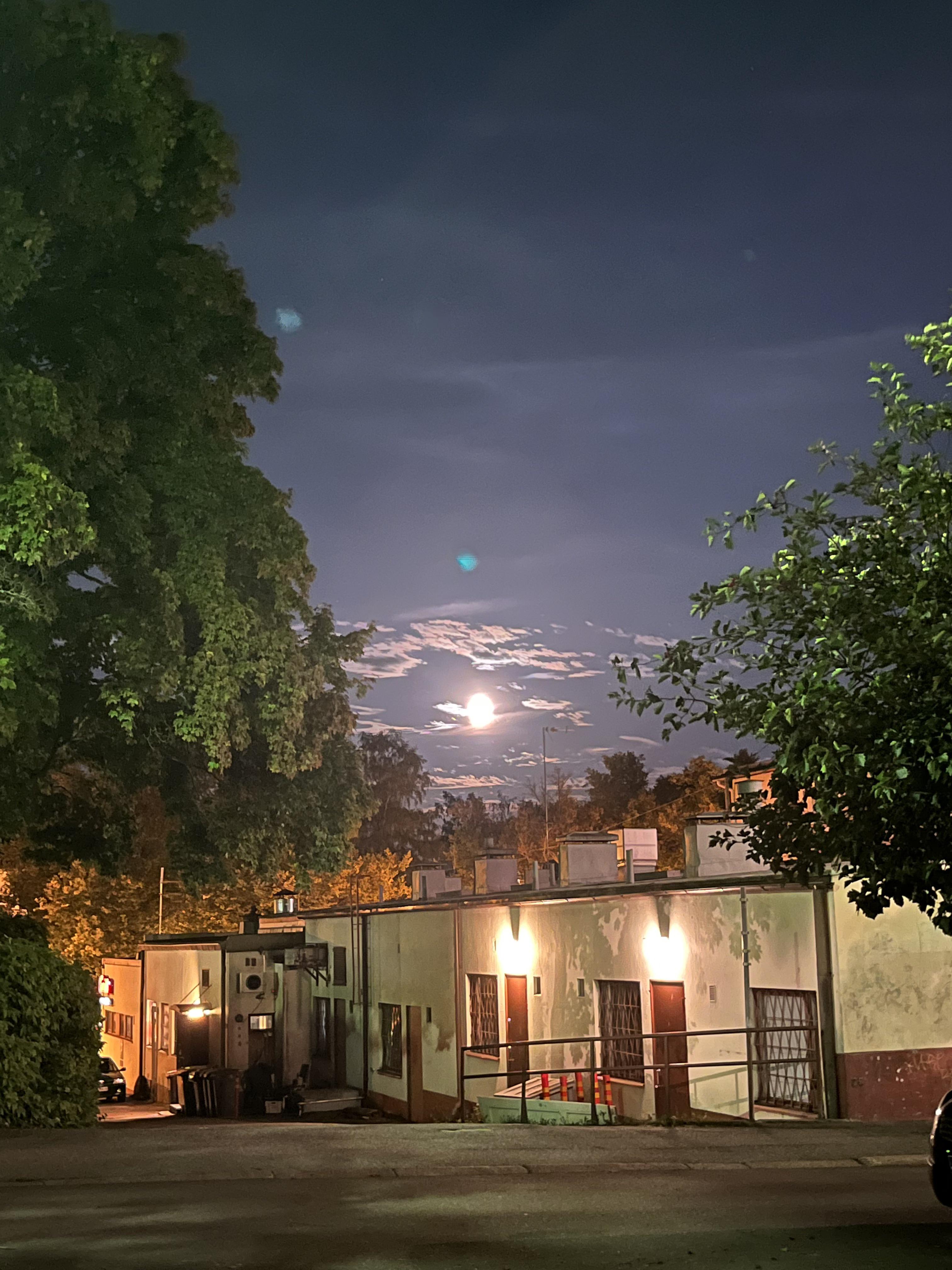 Last Summer Nights | Scrolller