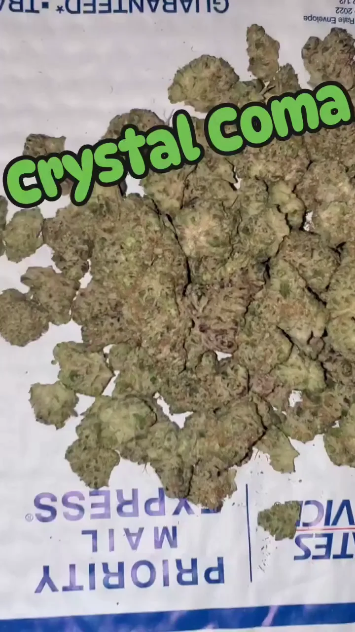 Special Delivery | Scrolller