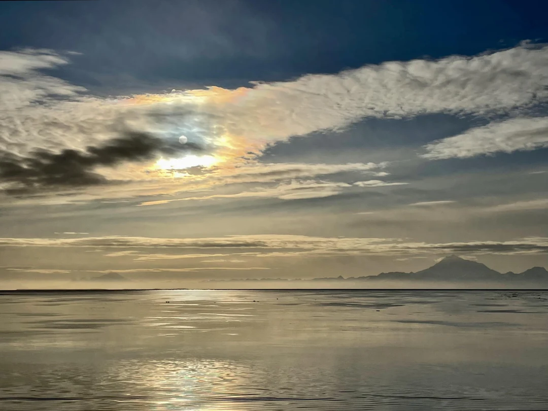 Thought these were worthy. Cook Inlet, AK. | Scrolller