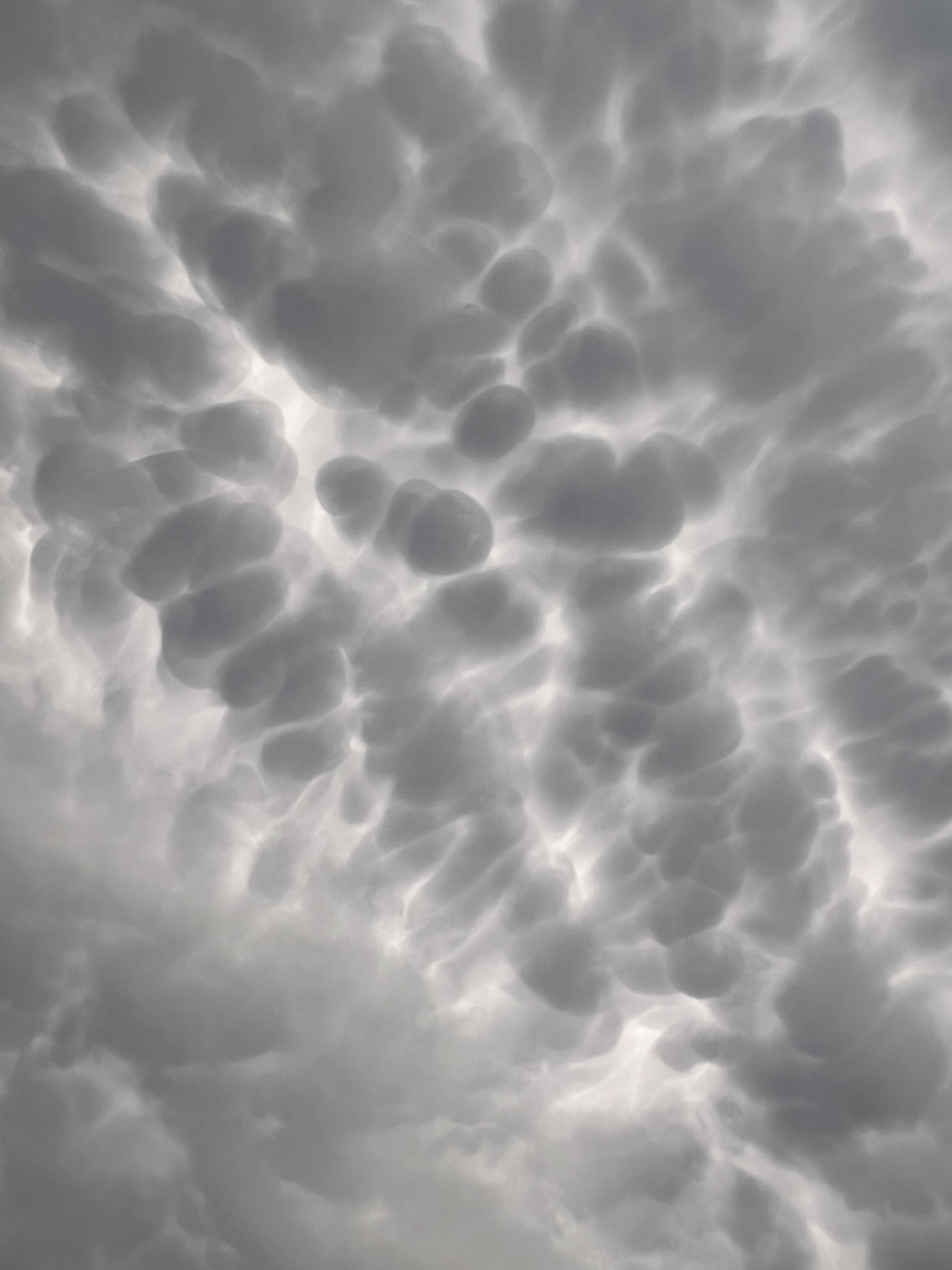 Here in Austin, TX | Scrolller