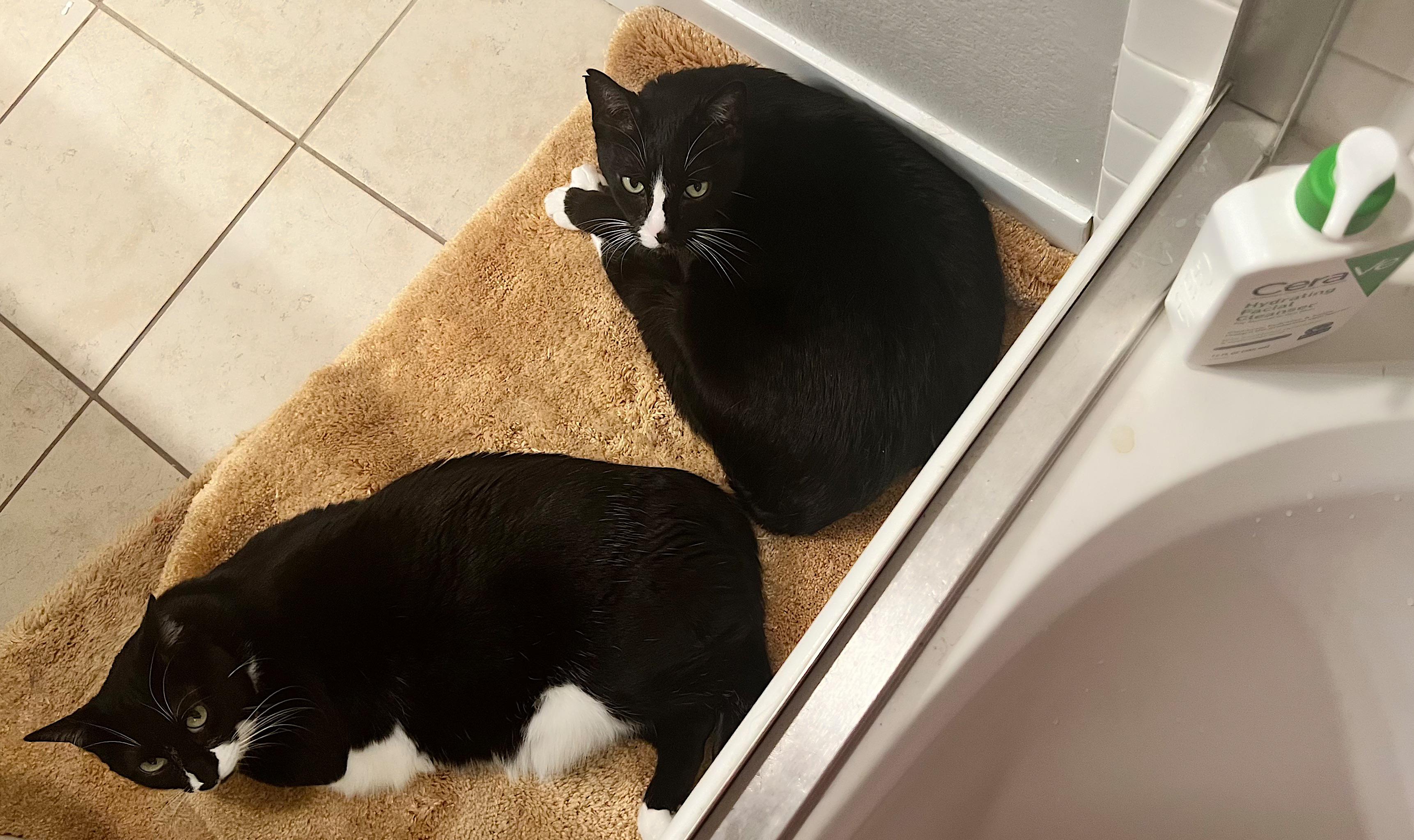 Anyone else have Velcro Tuxedos?? | Scrolller