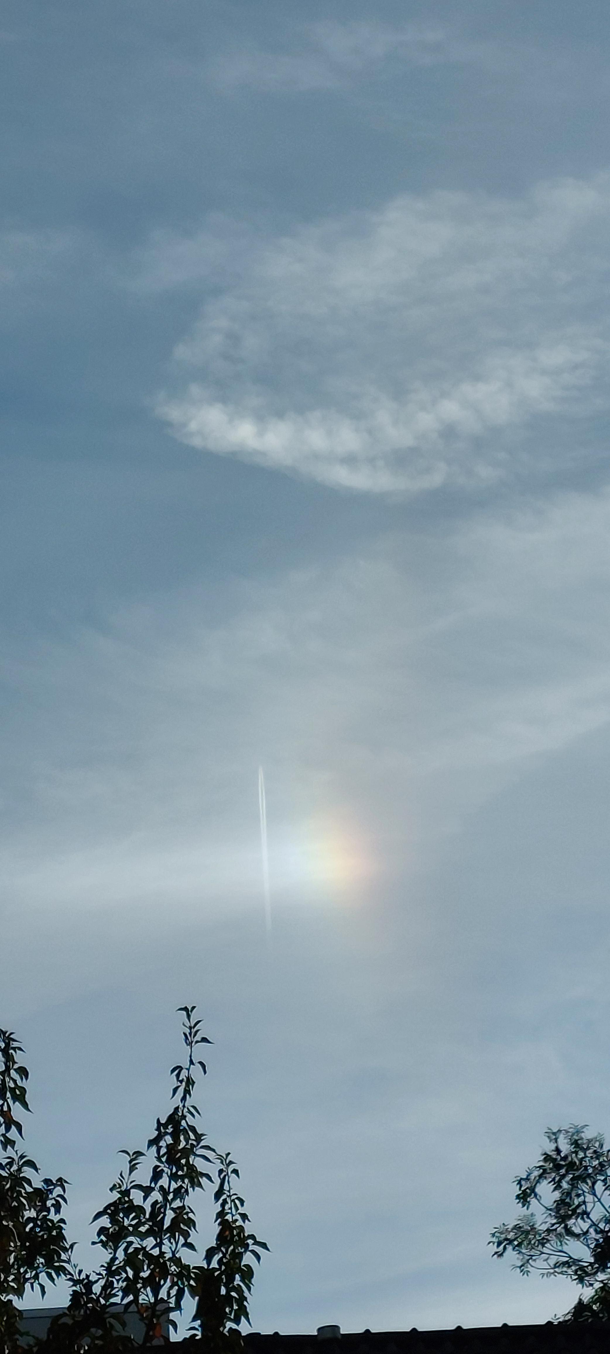 Tiniest bow ... | Scrolller