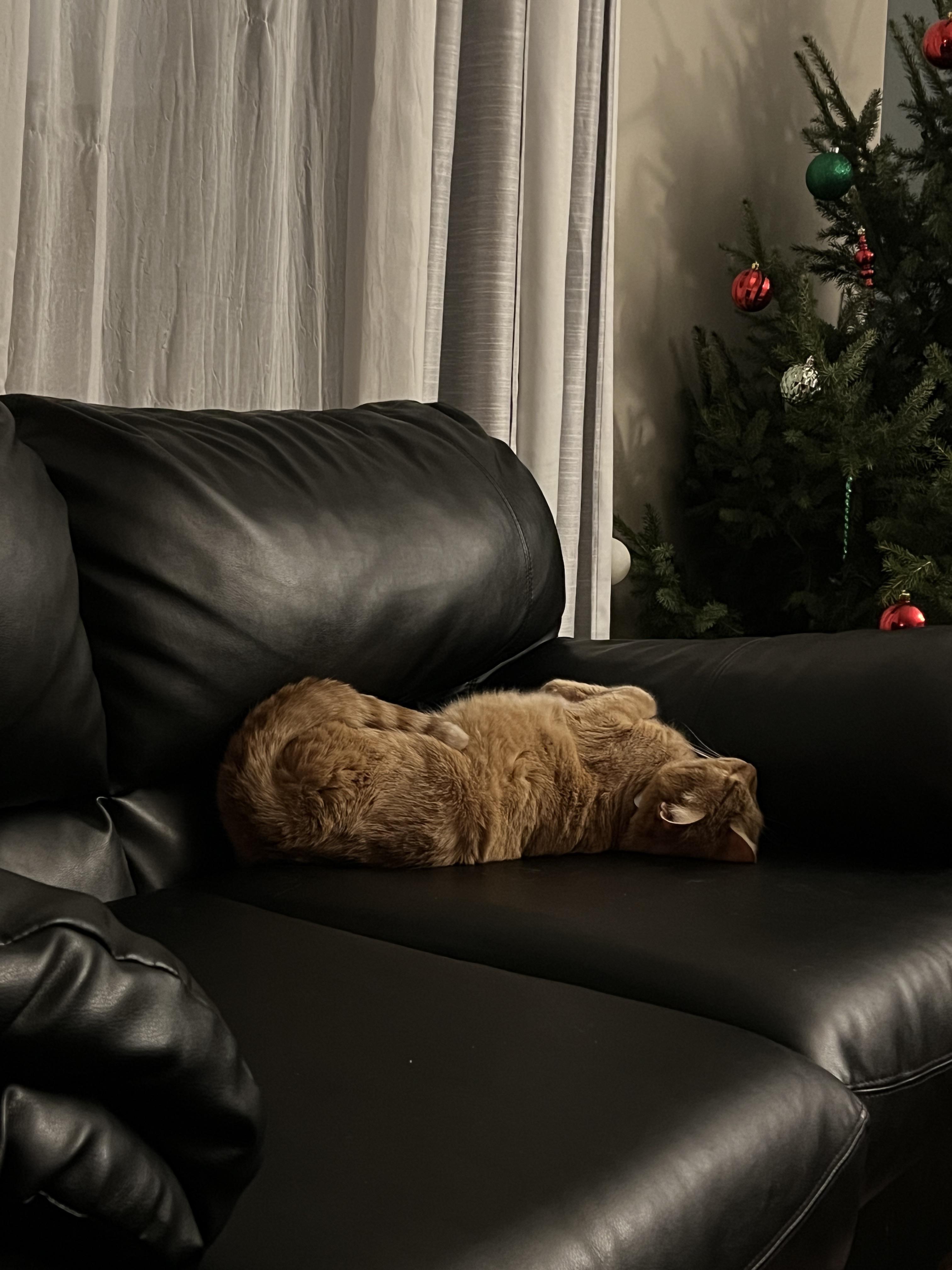 Upside down loaf anyone? | Scrolller