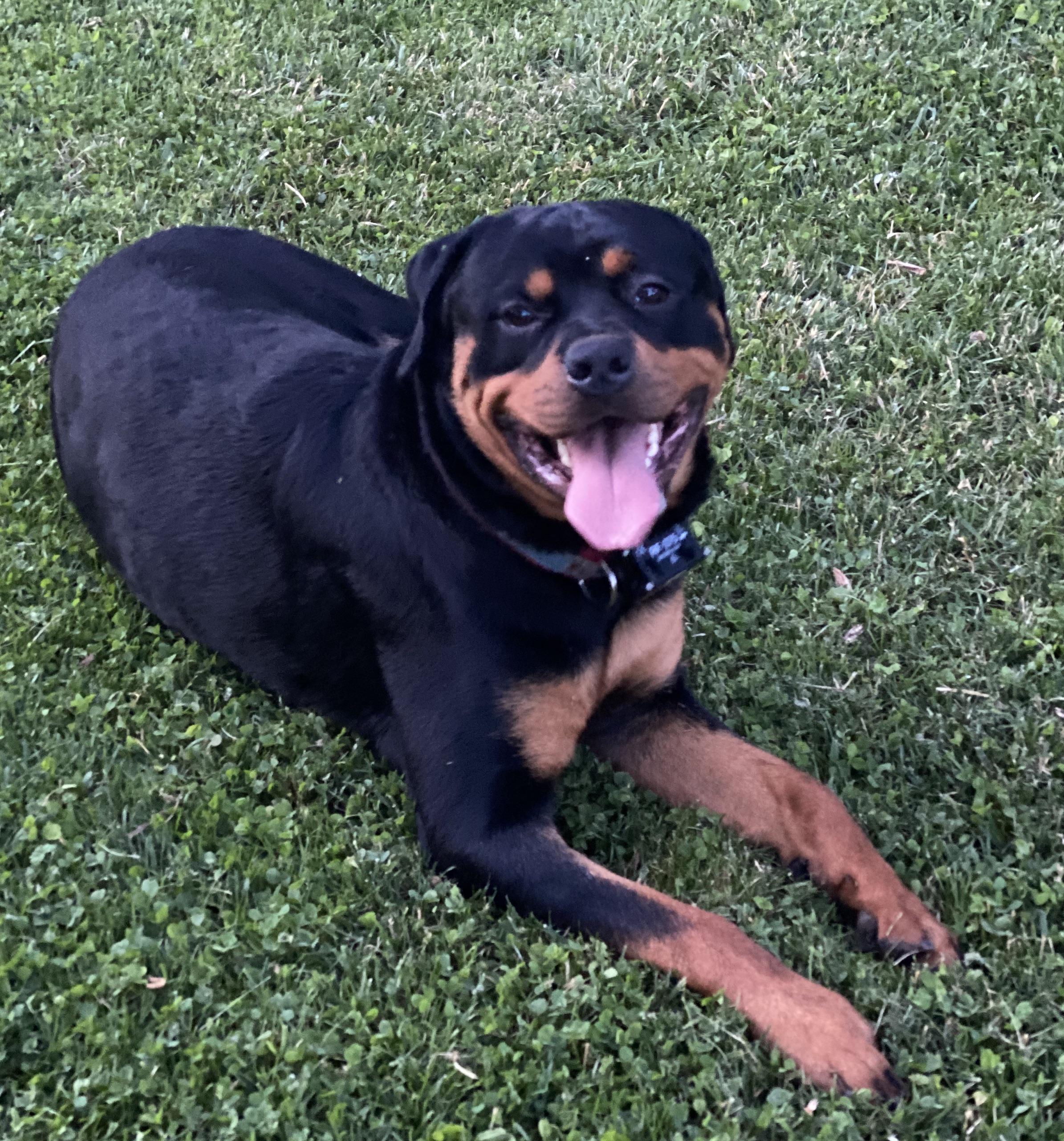 (OC) say cheese!! | Scrolller