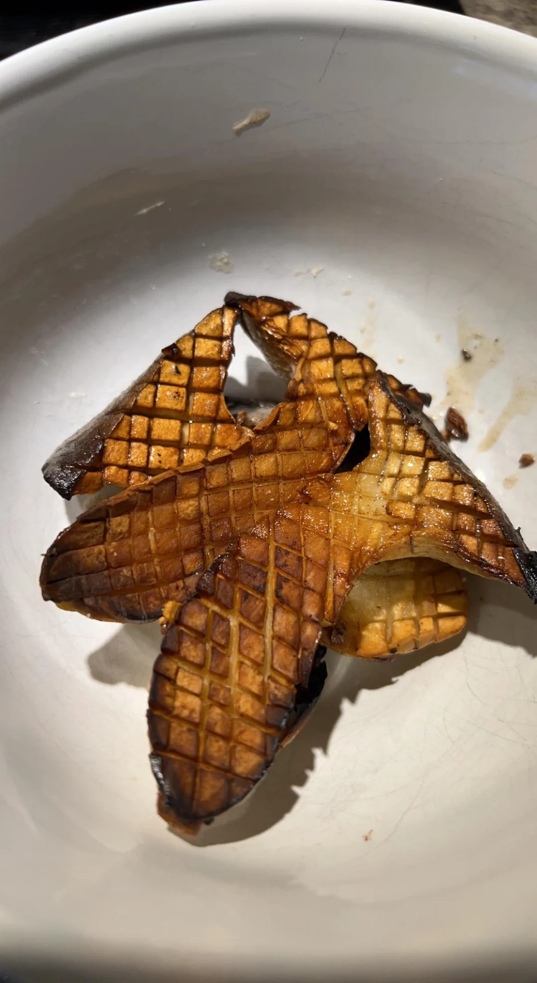 👑 Oysters | Scrolller