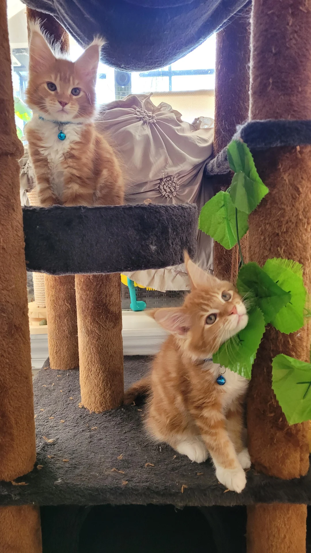 Double the derp 😅🥰 | Scrolller