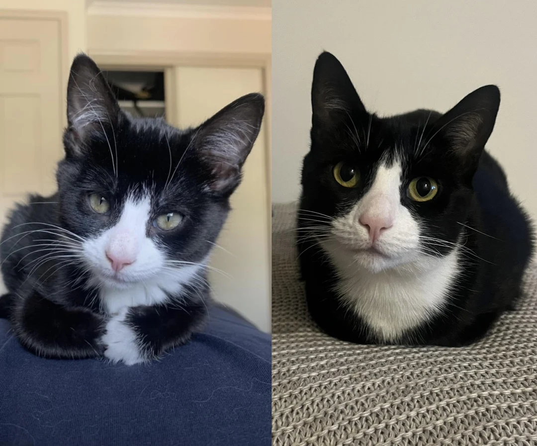 My burnt loaf has finally nailed the full tuck | Scrolller