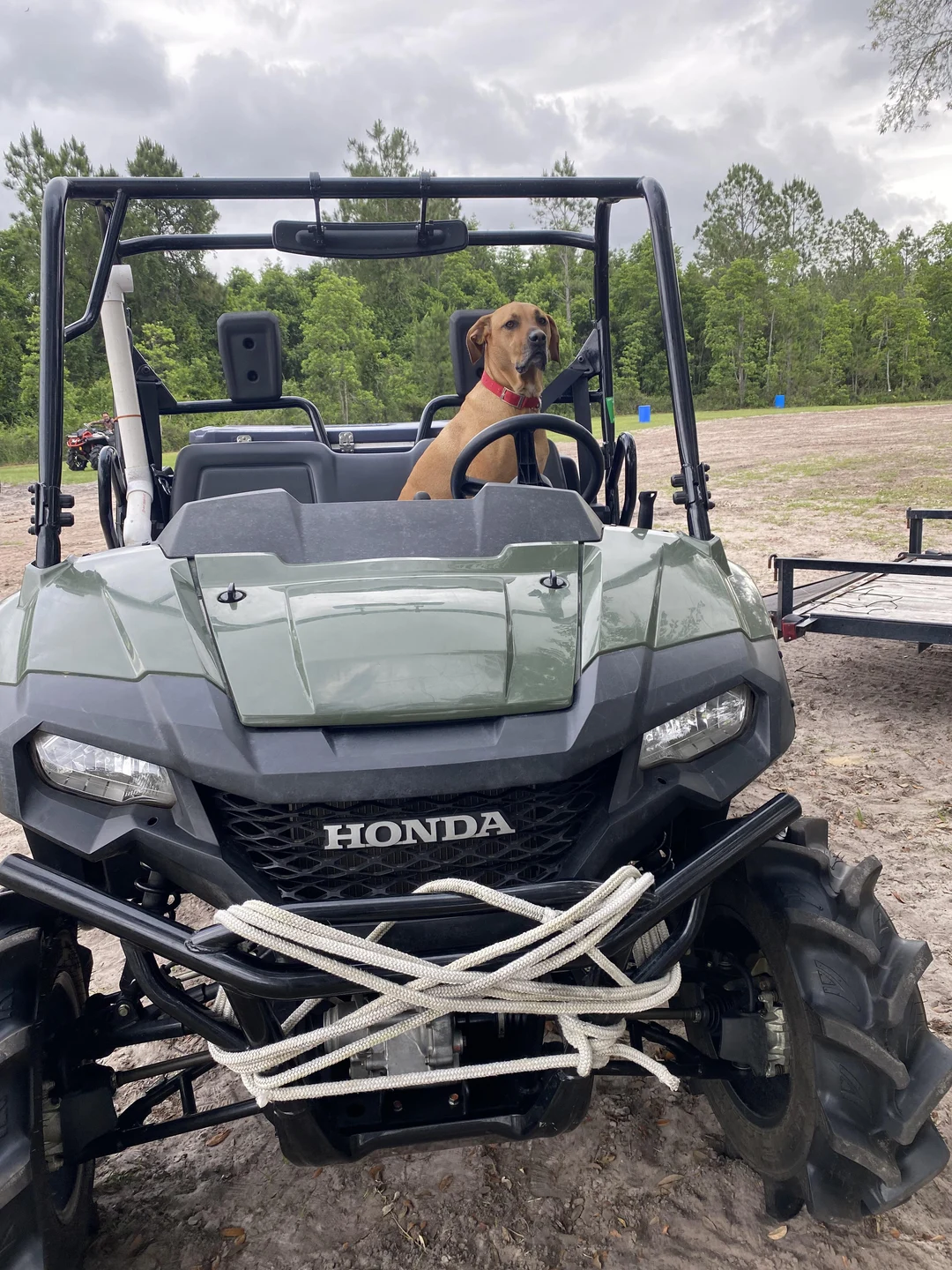 Always ready for adventure | Scrolller