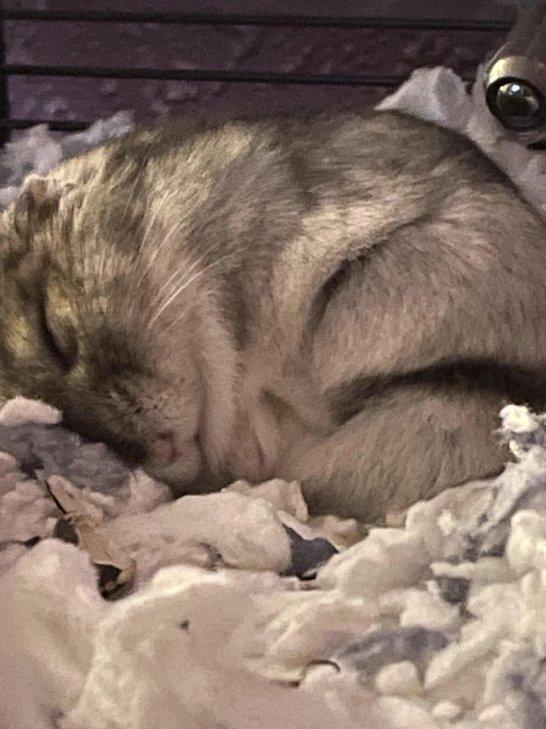 Almost gave me a heart attack | Scrolller