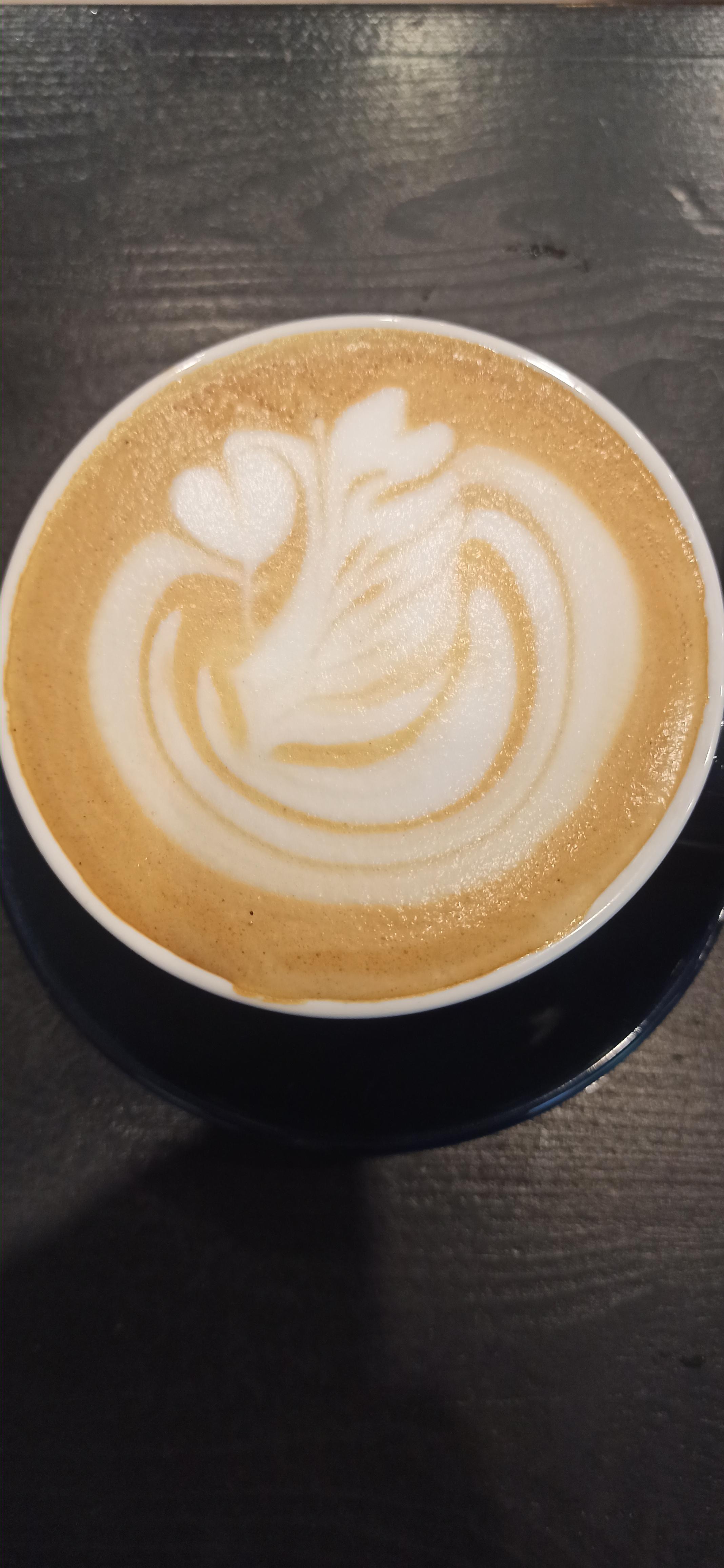 My first normal swan | Scrolller