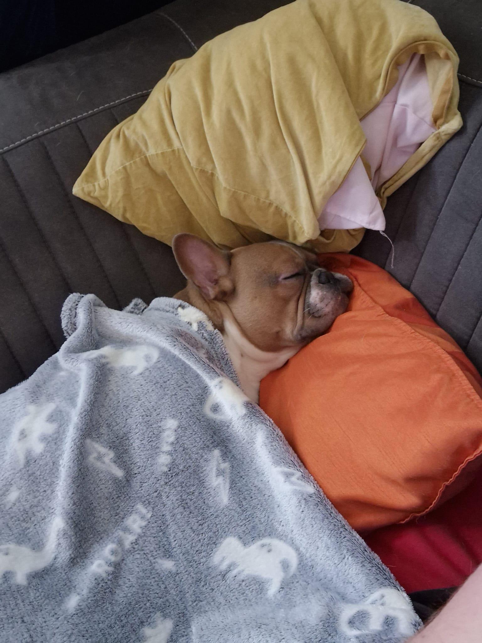 Naptime! | Scrolller