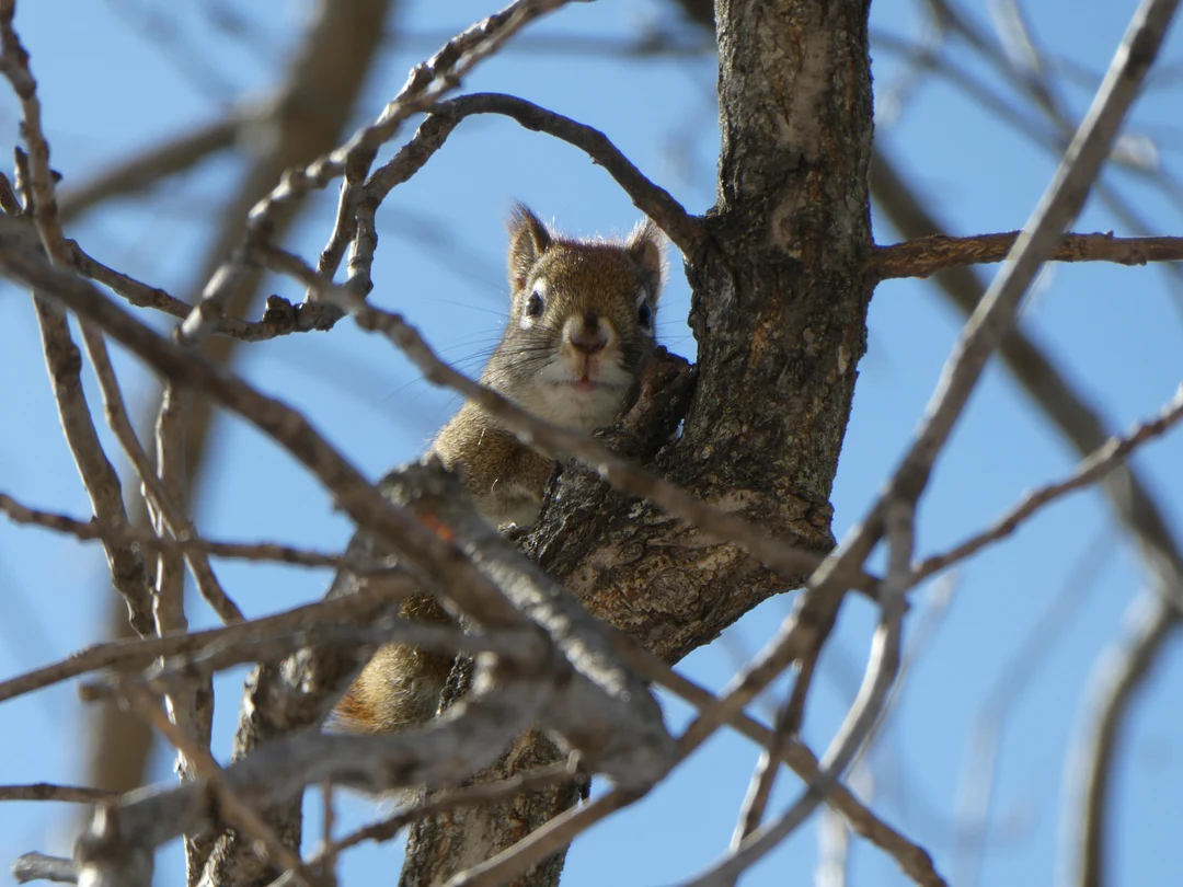 I've been spotted | Scrolller