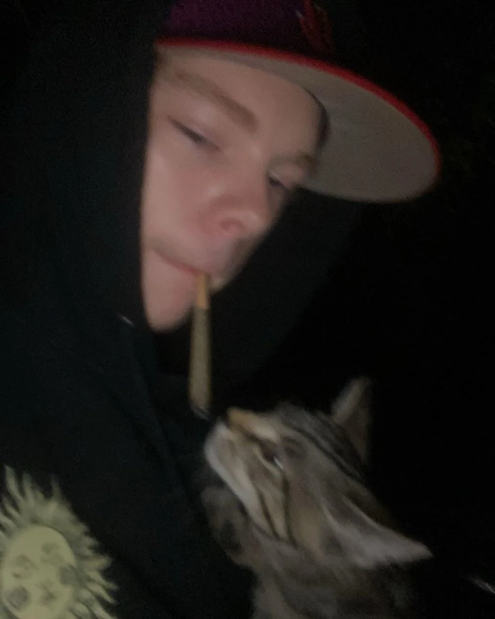 Cat Distribution System 🔛🔝 | Scrolller