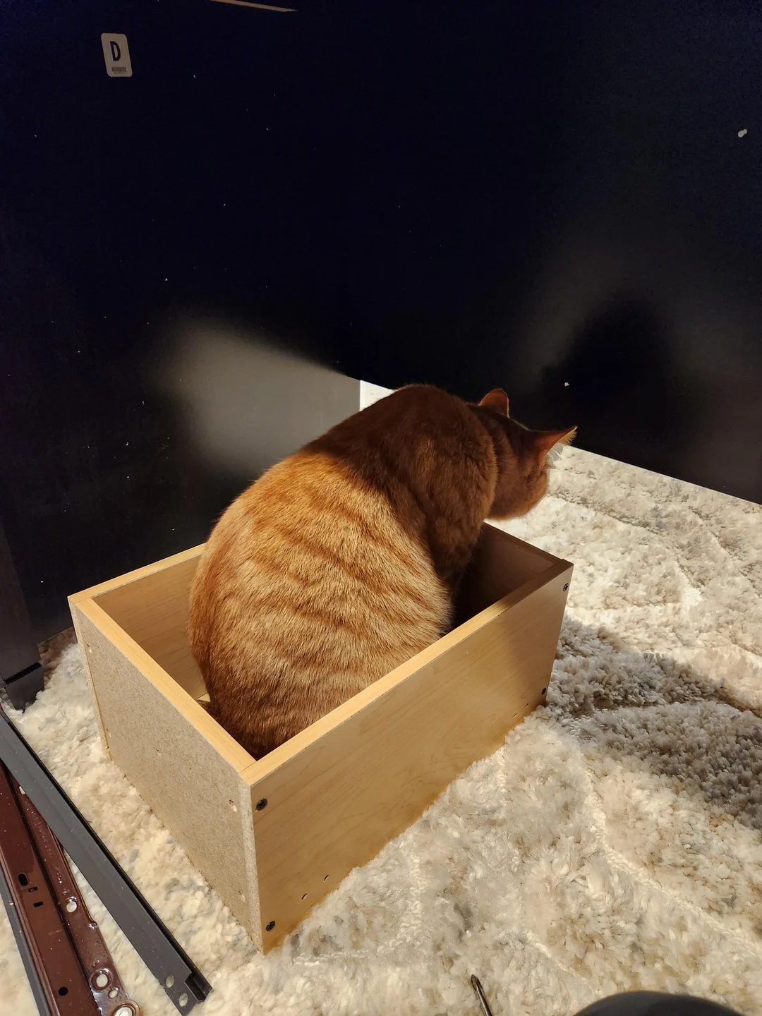 Milo the drawer inspector | Scrolller