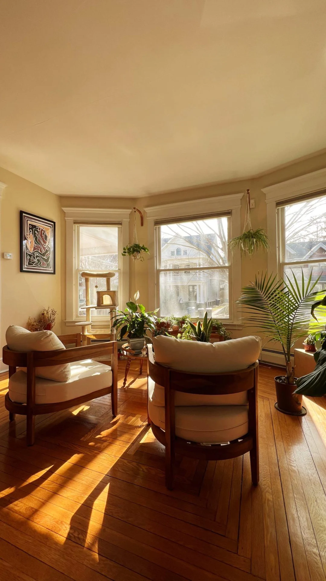 Our cozy bay window nook getting all the afternoon sunlight | Scrolller