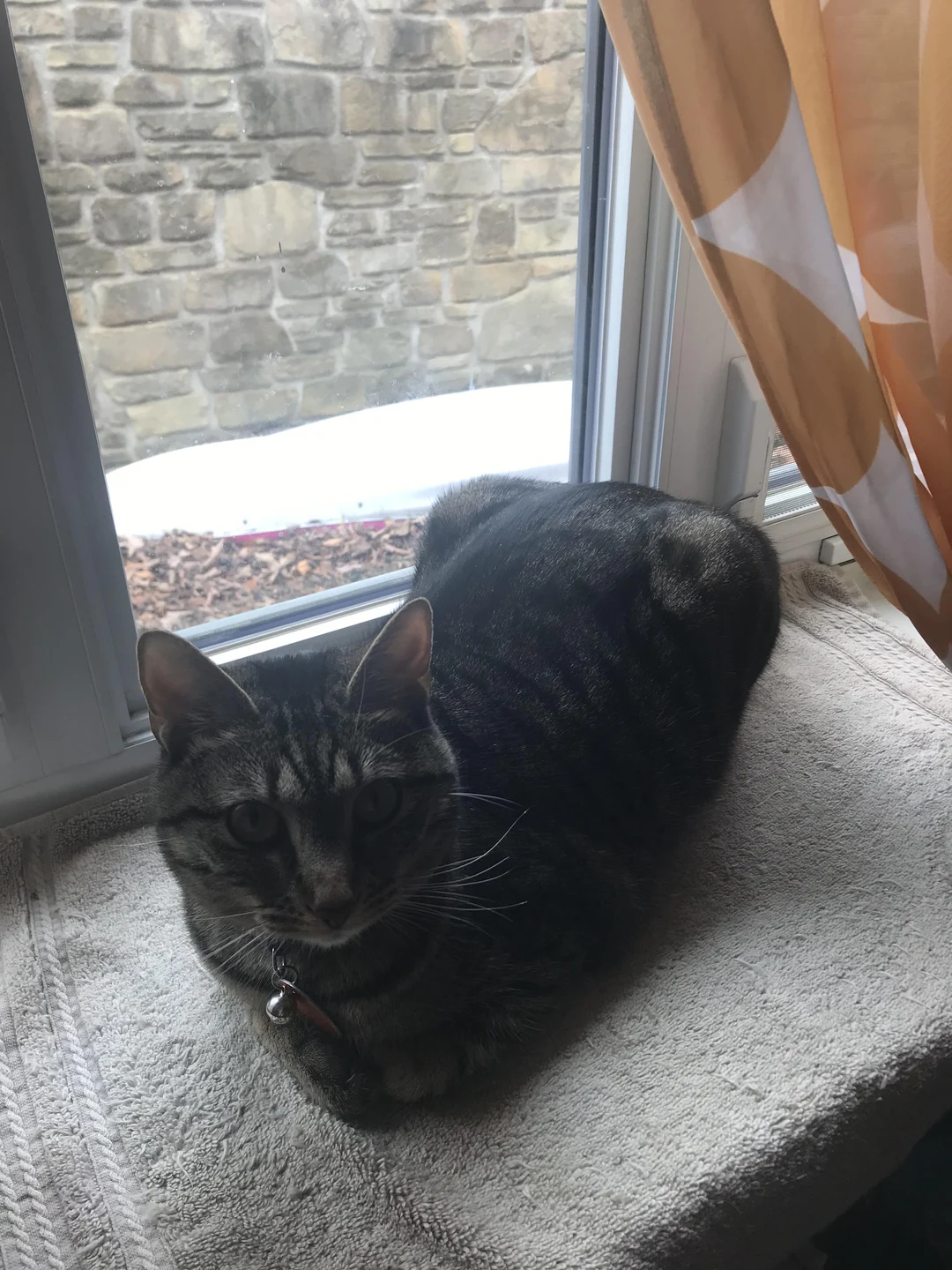 Window Loaf | Scrolller