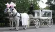 White Horse And Carraige Glass Hearse | Scrolller