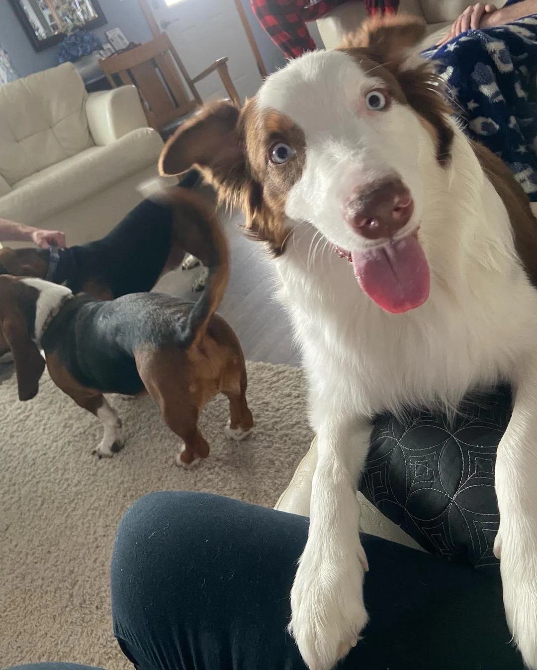 Whatcha doin? | Scrolller