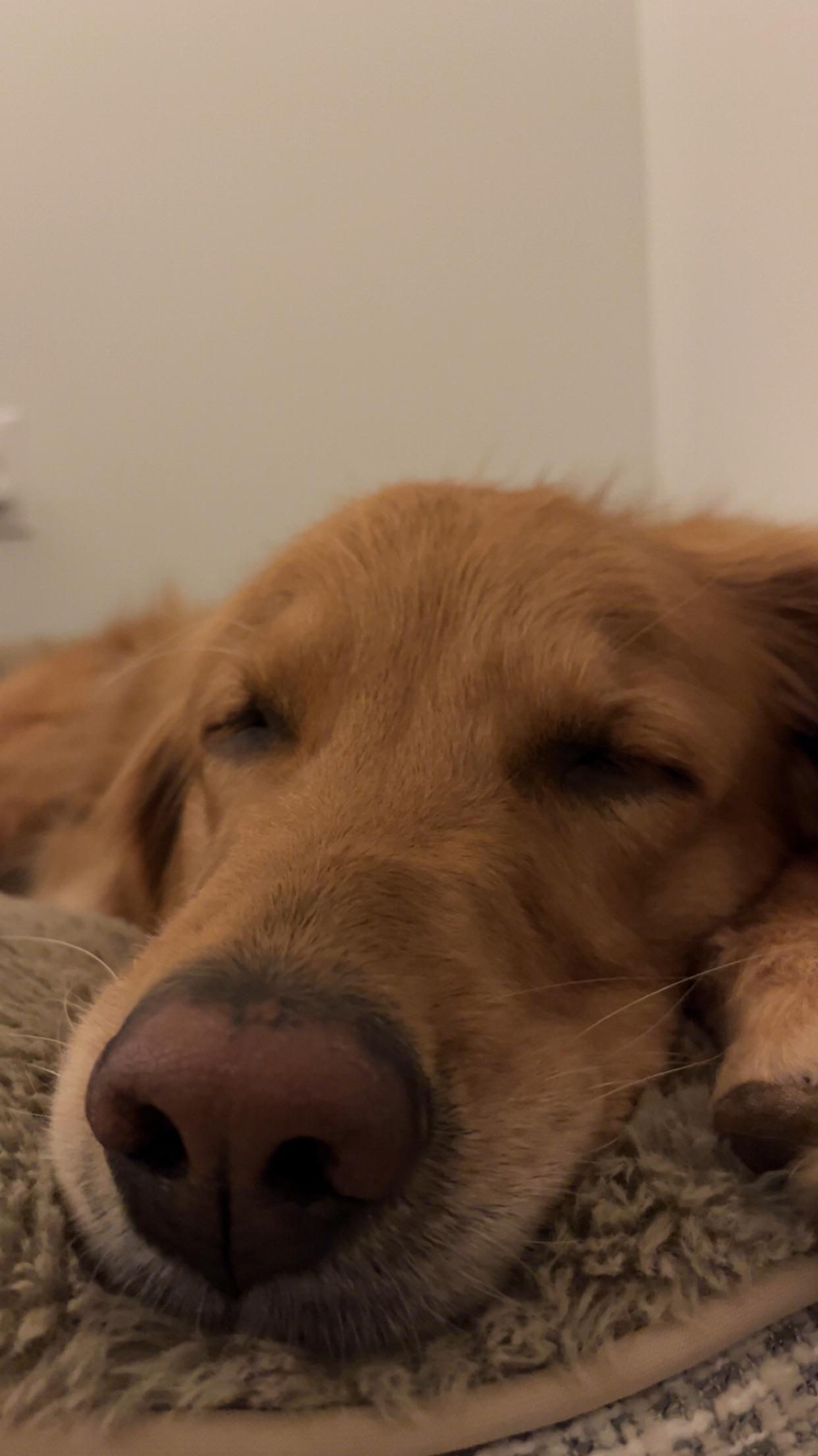 Stella bean | Scrolller