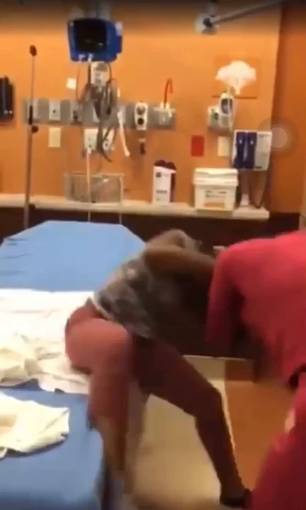 Whats with fighting at hospitals? | Scrolller