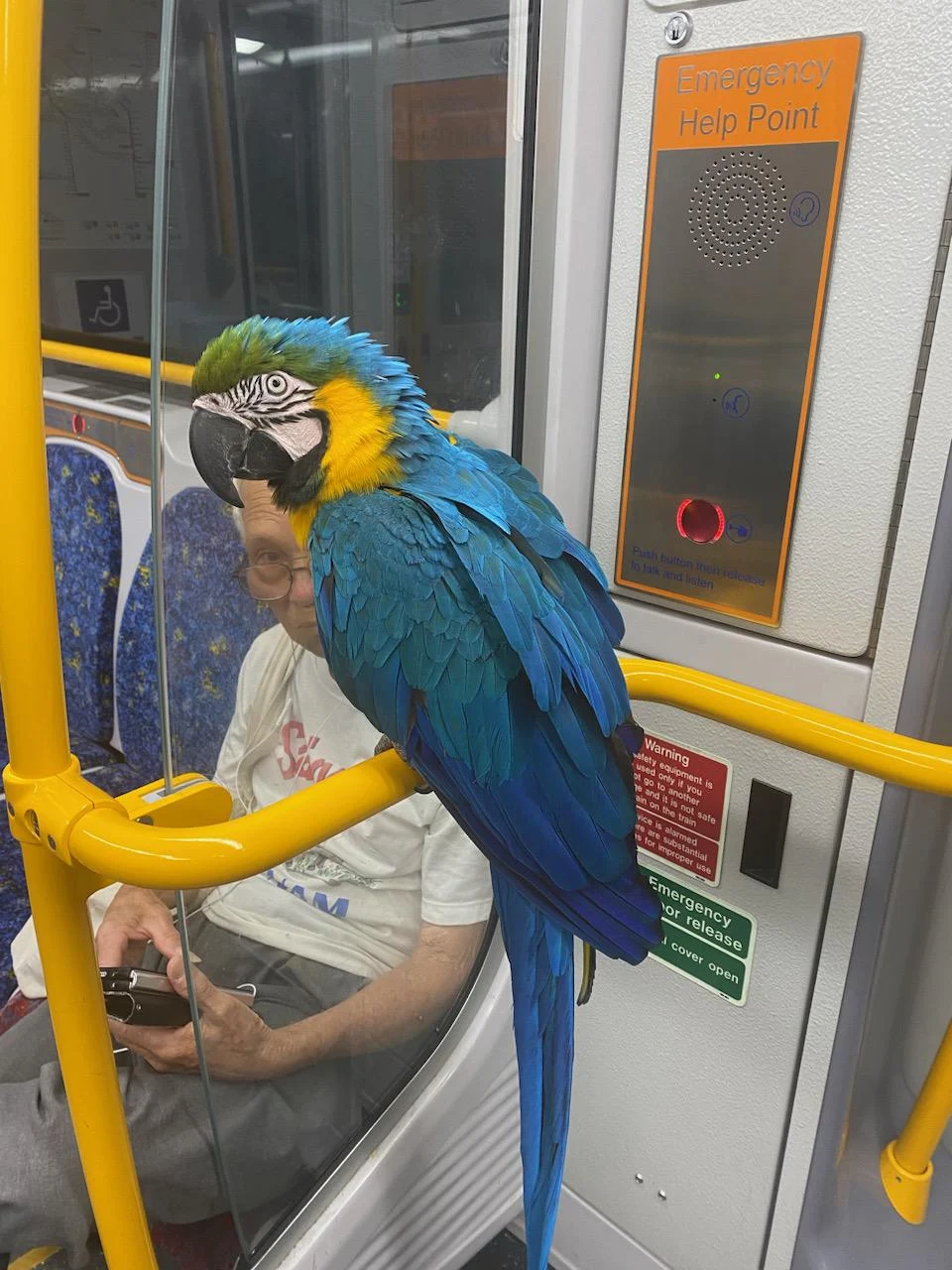 My mum made a friend on the tram | Scrolller