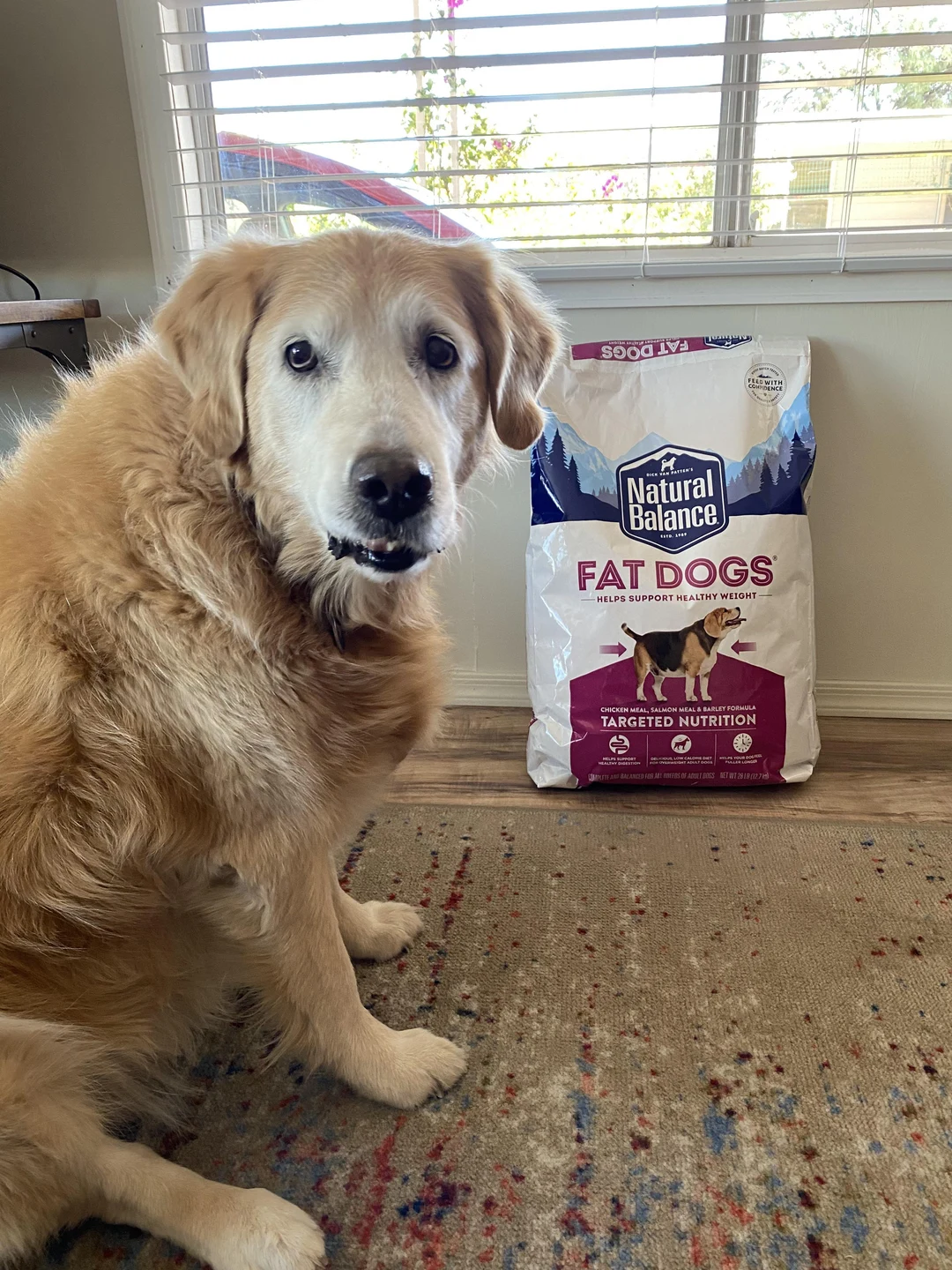 The sadness in her eyes… | Scrolller