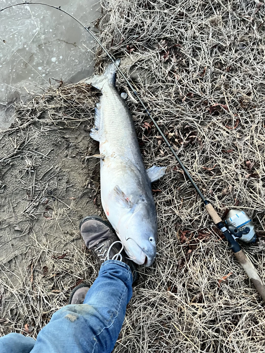 First big one in a couple months | Scrolller