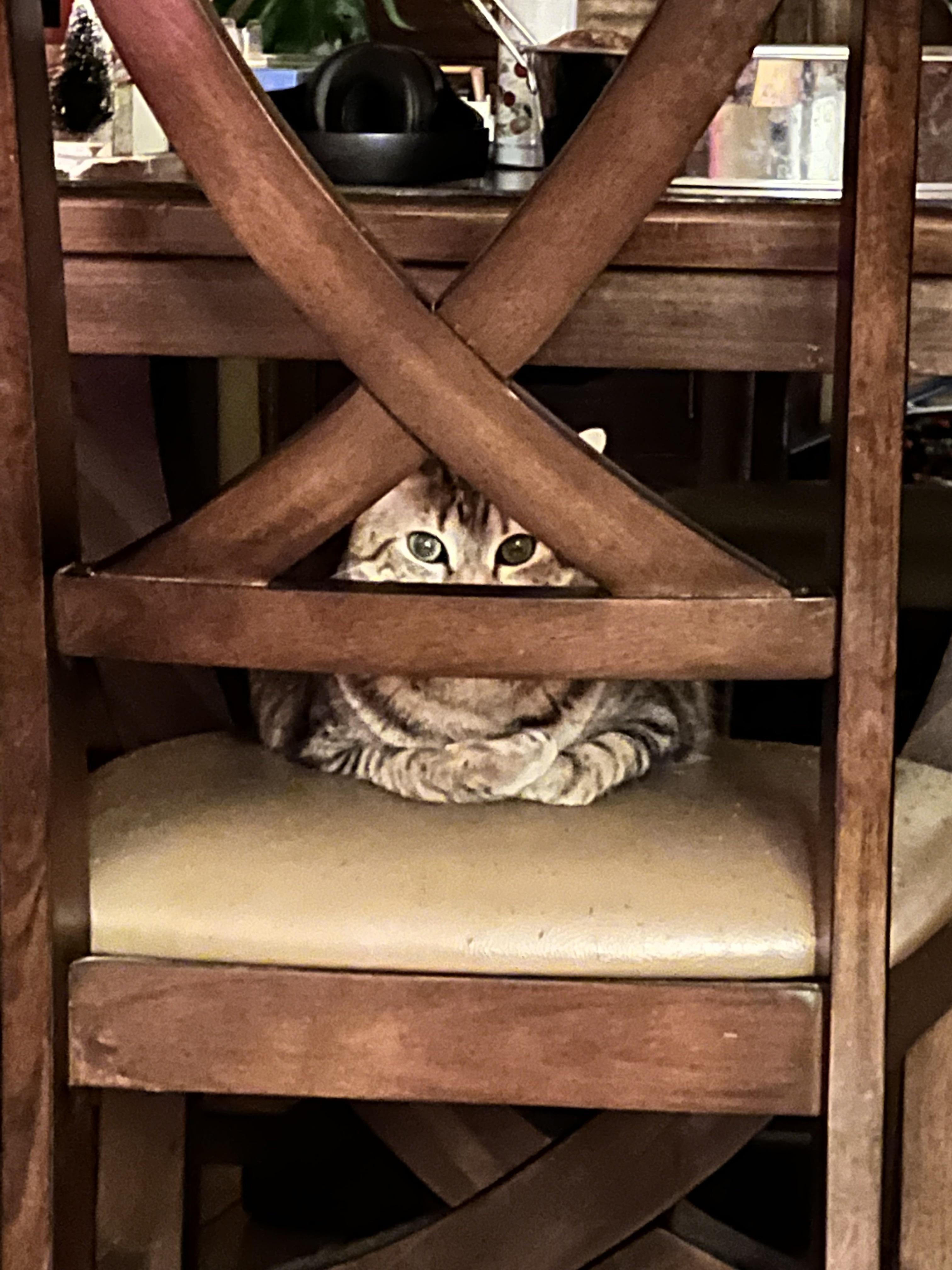 Plotting loaf… | Scrolller