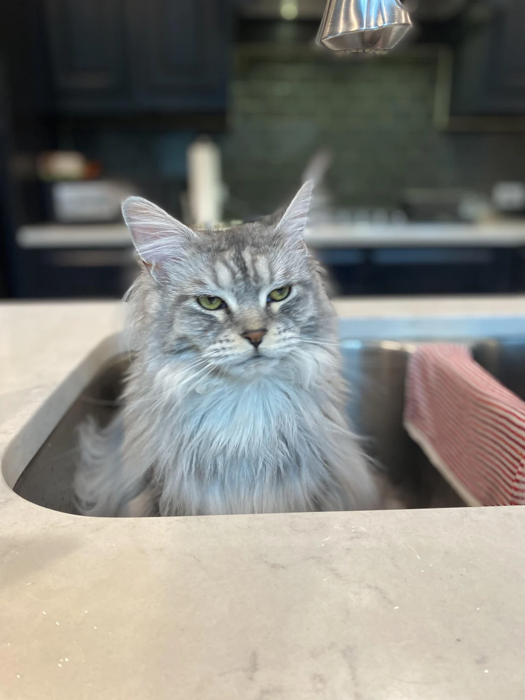 Show me your Sultry MCs! | Scrolller