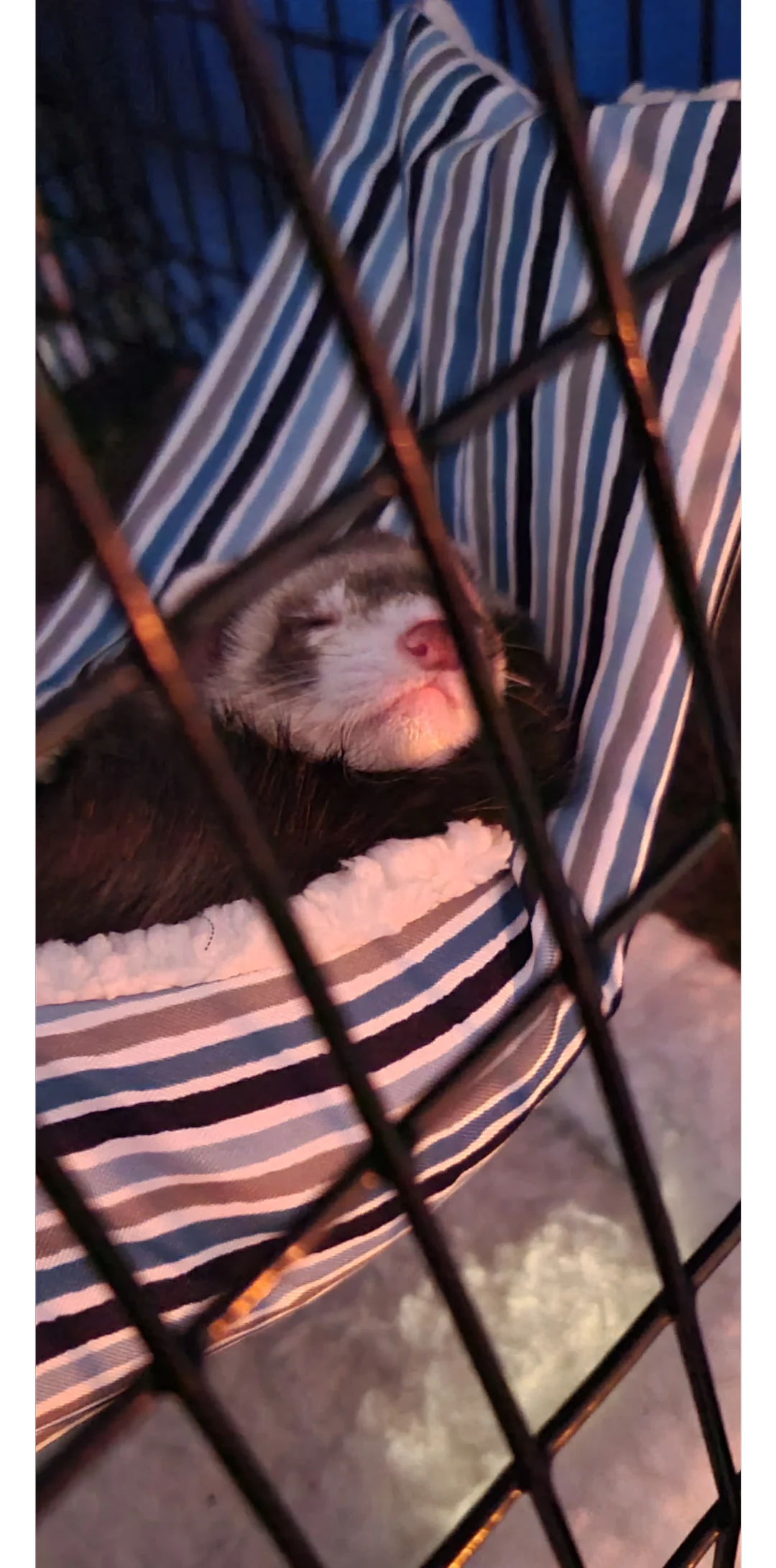 sweet dreams with her nightlight | Scrolller