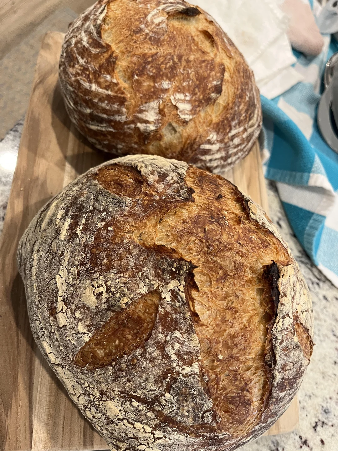 A Tale of Two Loaves | Scrolller