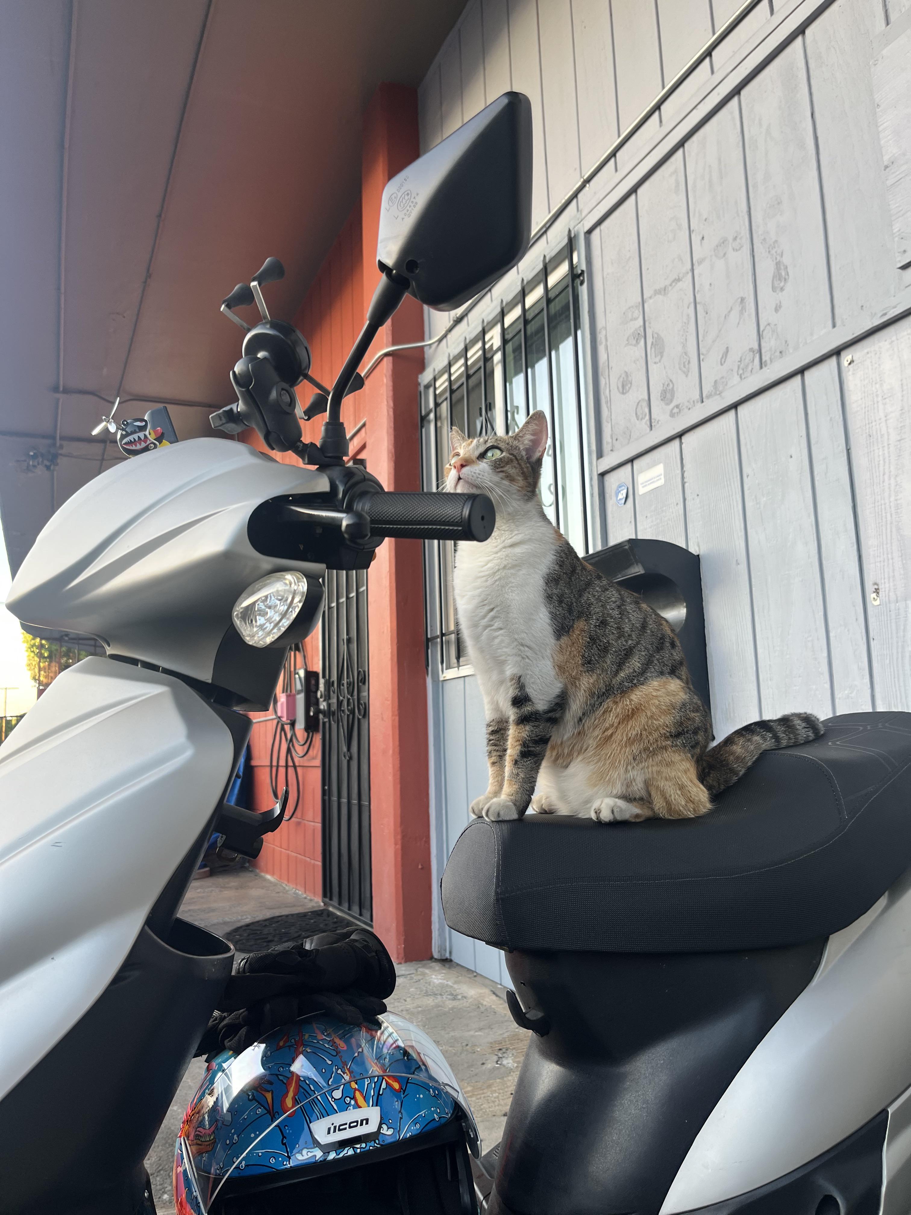 Uber Eats | Scrolller