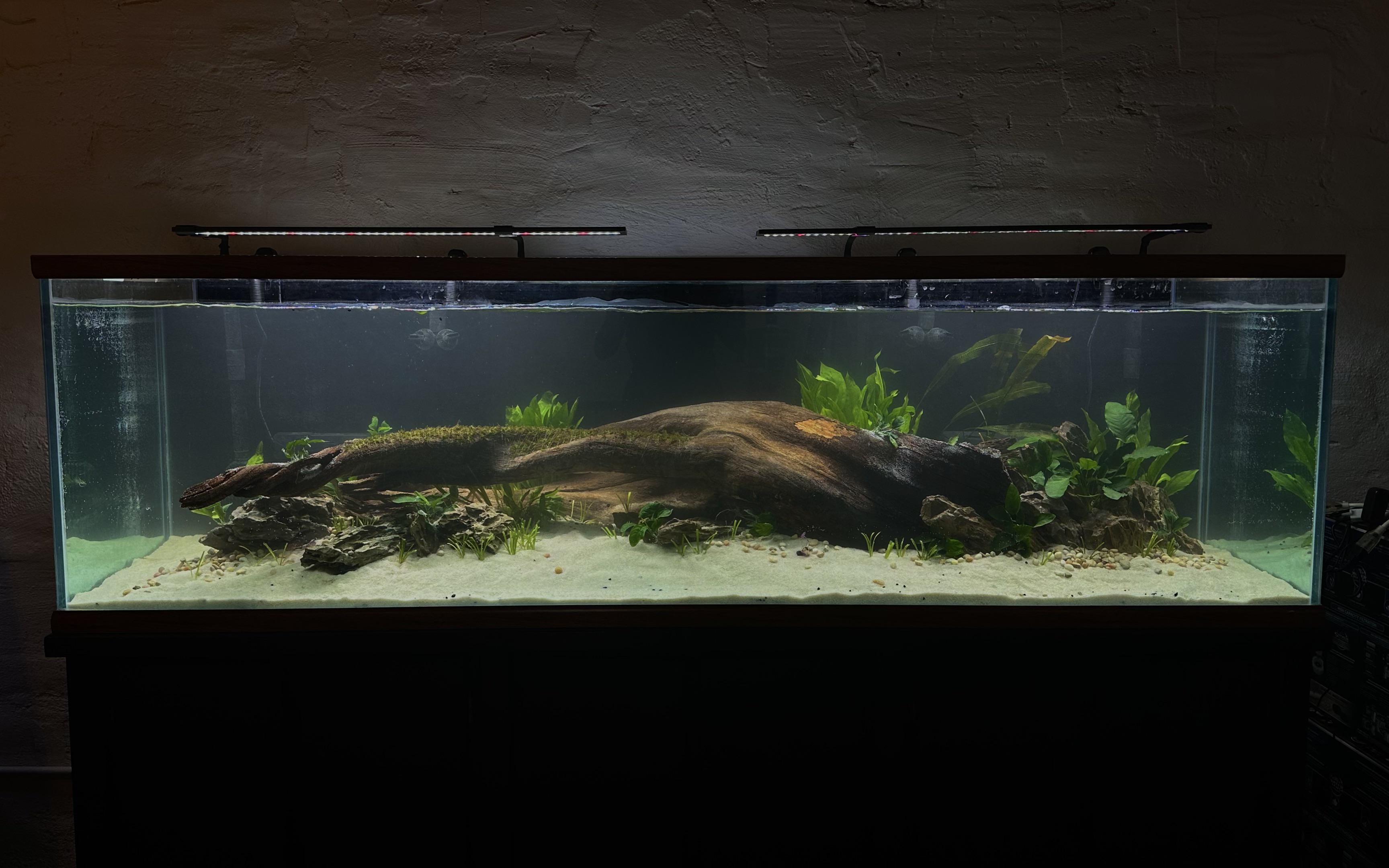 200 Gallon Commission | Scrolller