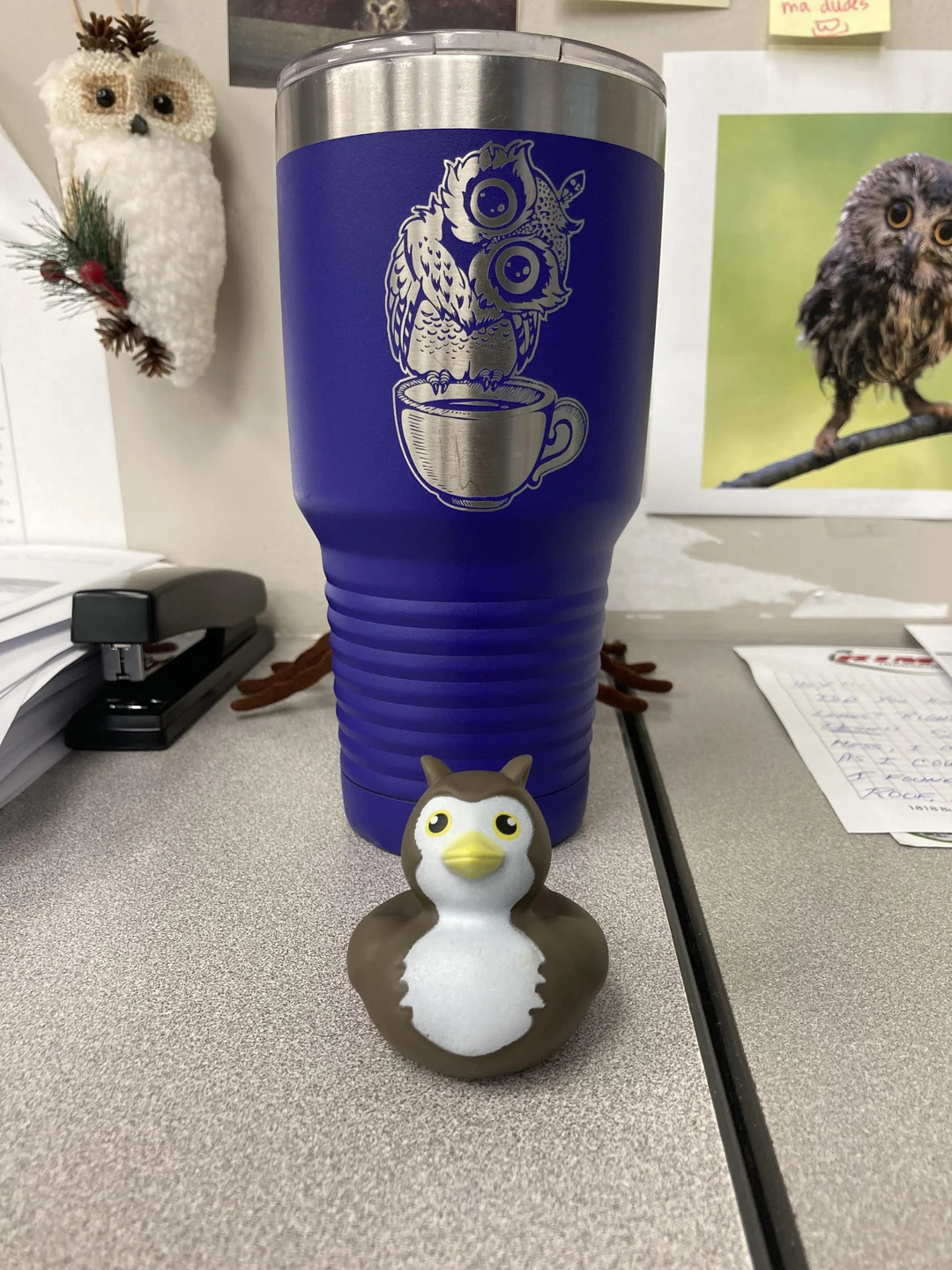 Discover more like Owls: New Addition and Related Content | Scrolller