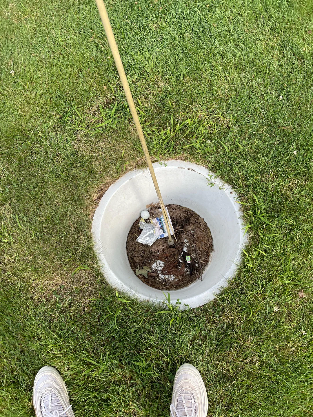 Hole in ones come in all shapes and sizes… | Scrolller