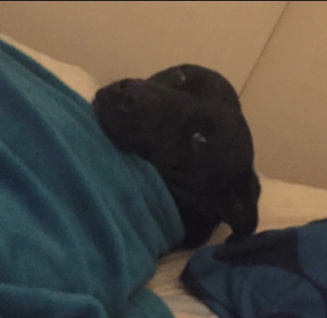 stinky girl | Scrolller